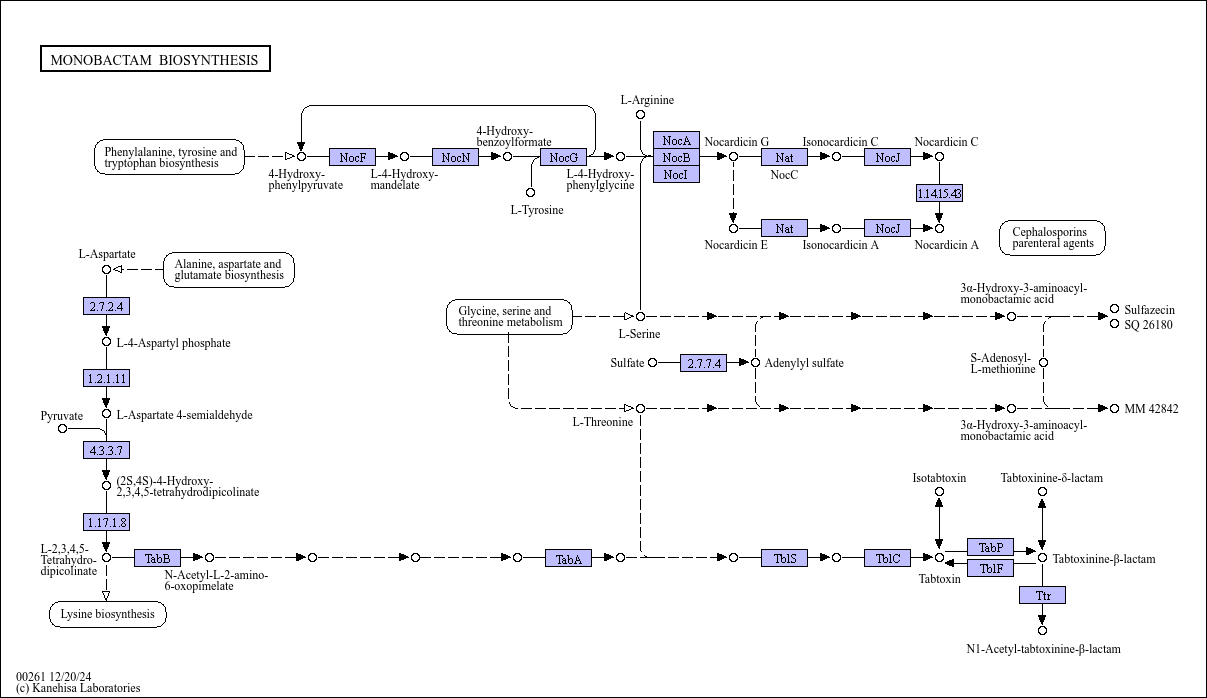 KEGG PATHWAY: Monobactam biosynthesis