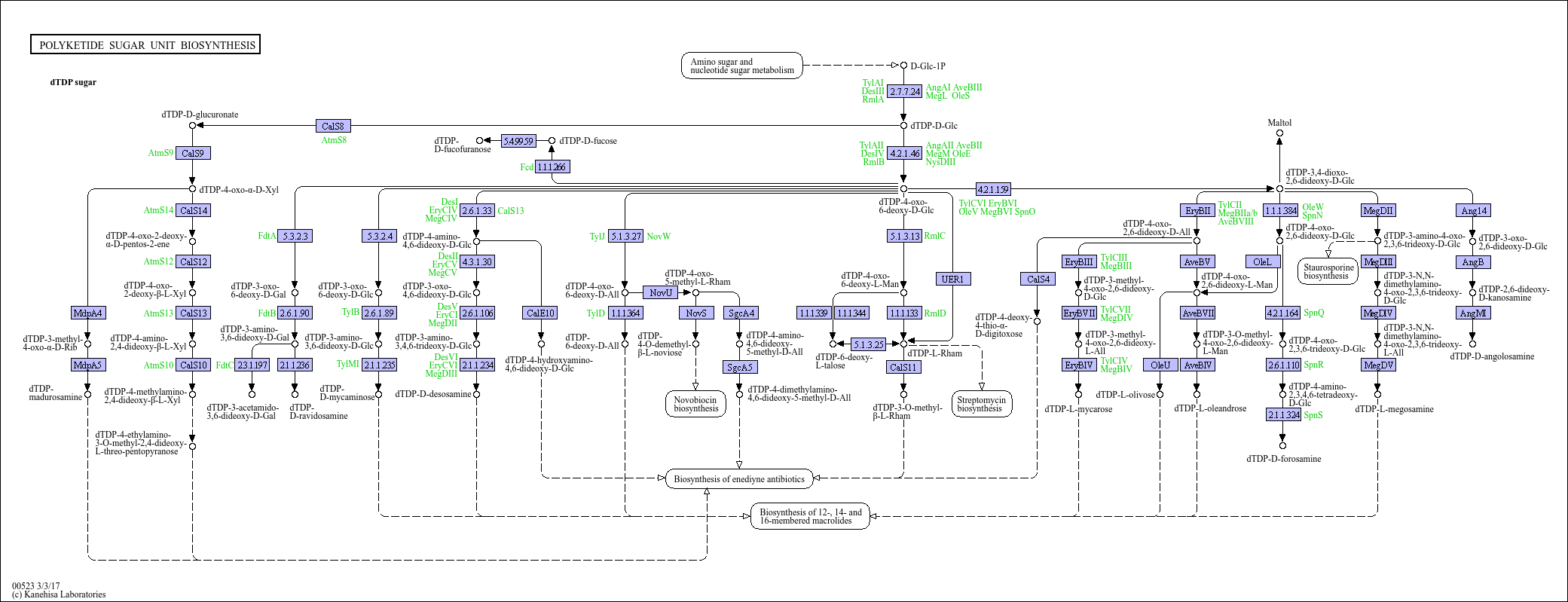 KEGG PATHWAY: Polyketide sugar unit biosynthesis