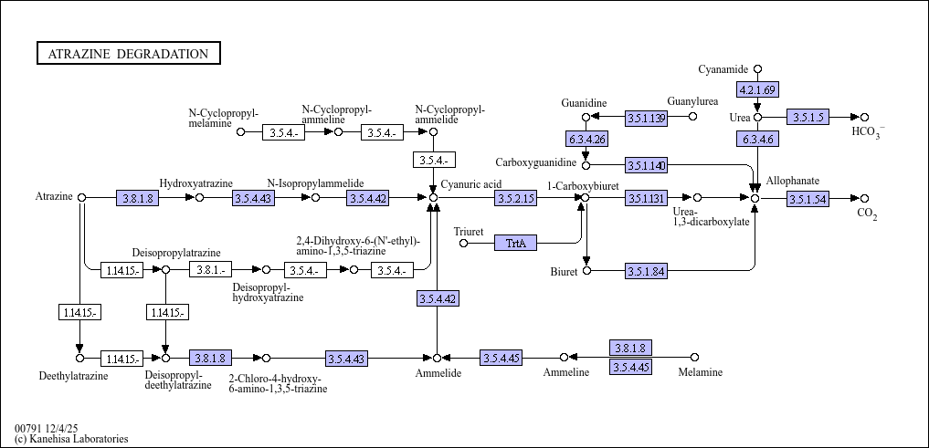 KEGG PATHWAY: Atrazine degradation