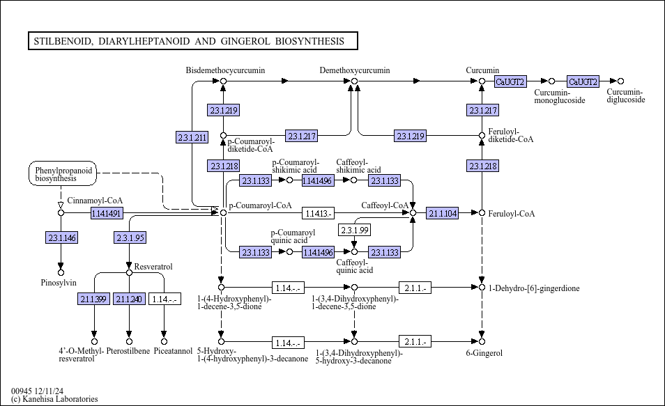 KEGG PATHWAY: Stilbenoid, diarylheptanoid and gingerol biosynthesis