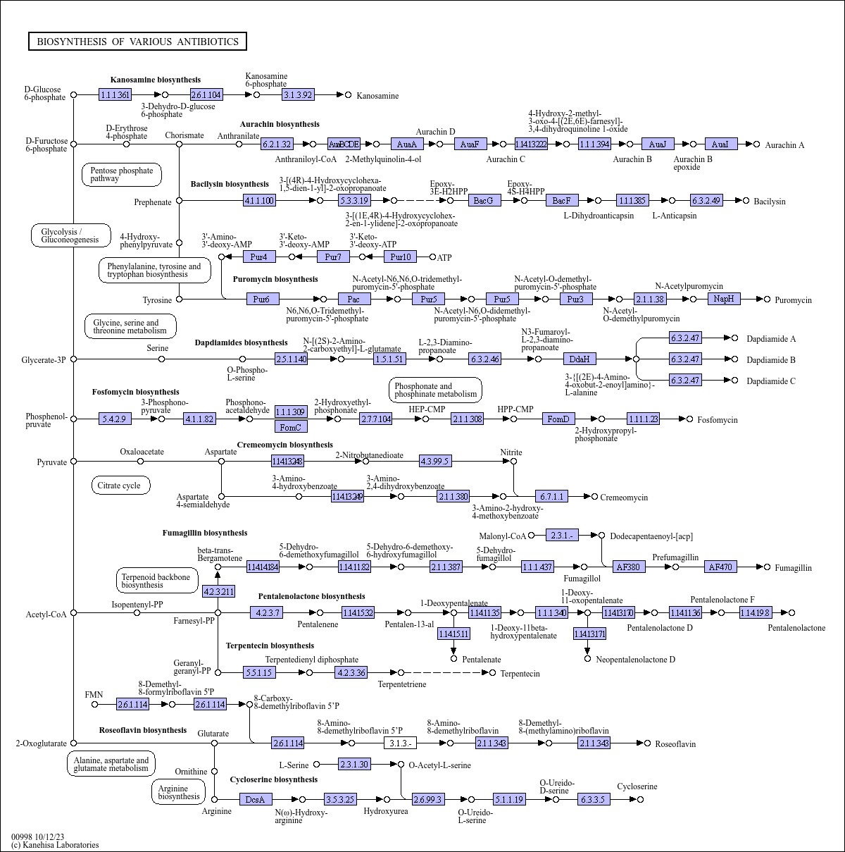 KEGG PATHWAY: Biosynthesis of various antibiotics