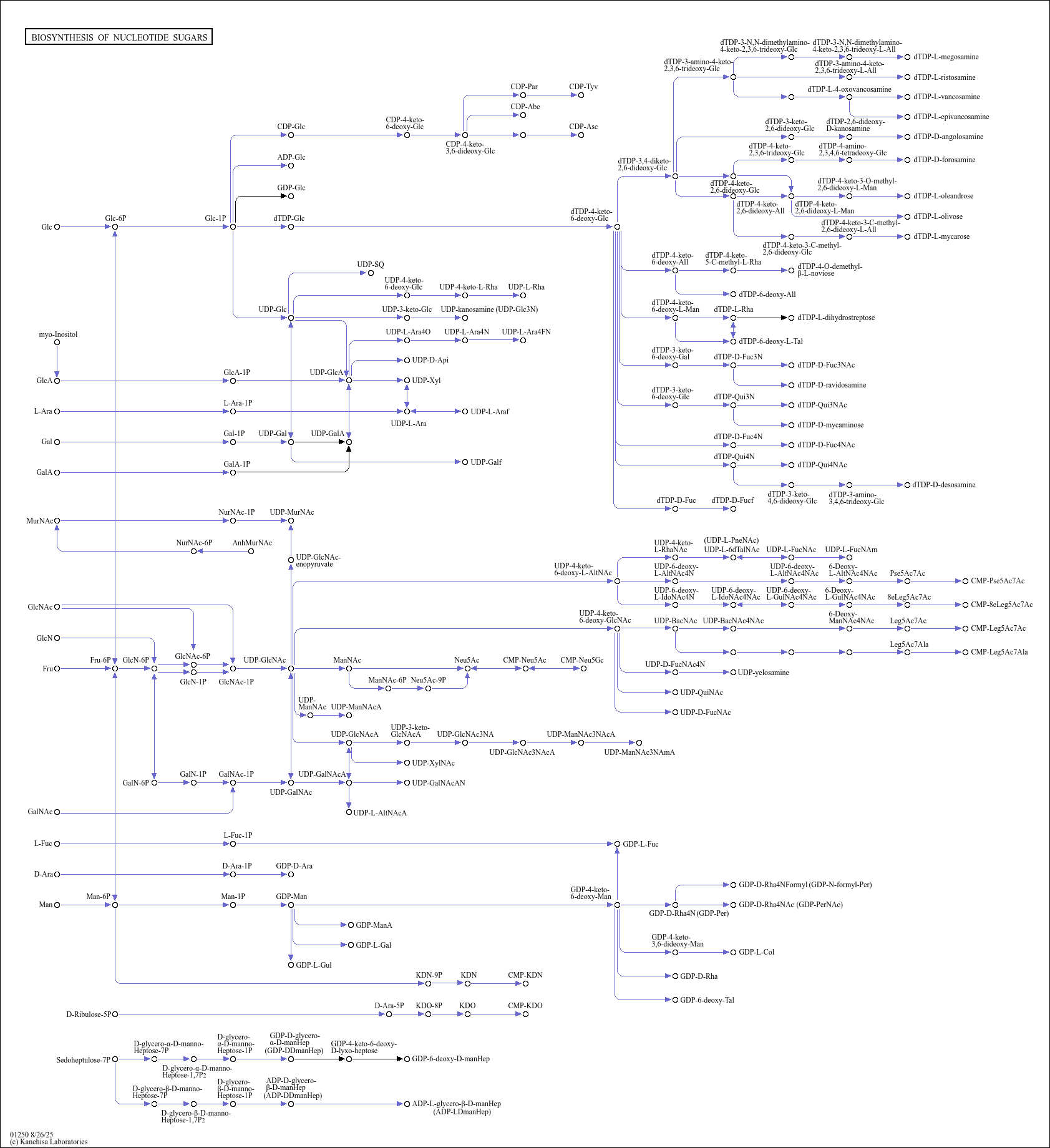 KEGG PATHWAY: Biosynthesis of nucleotide sugars