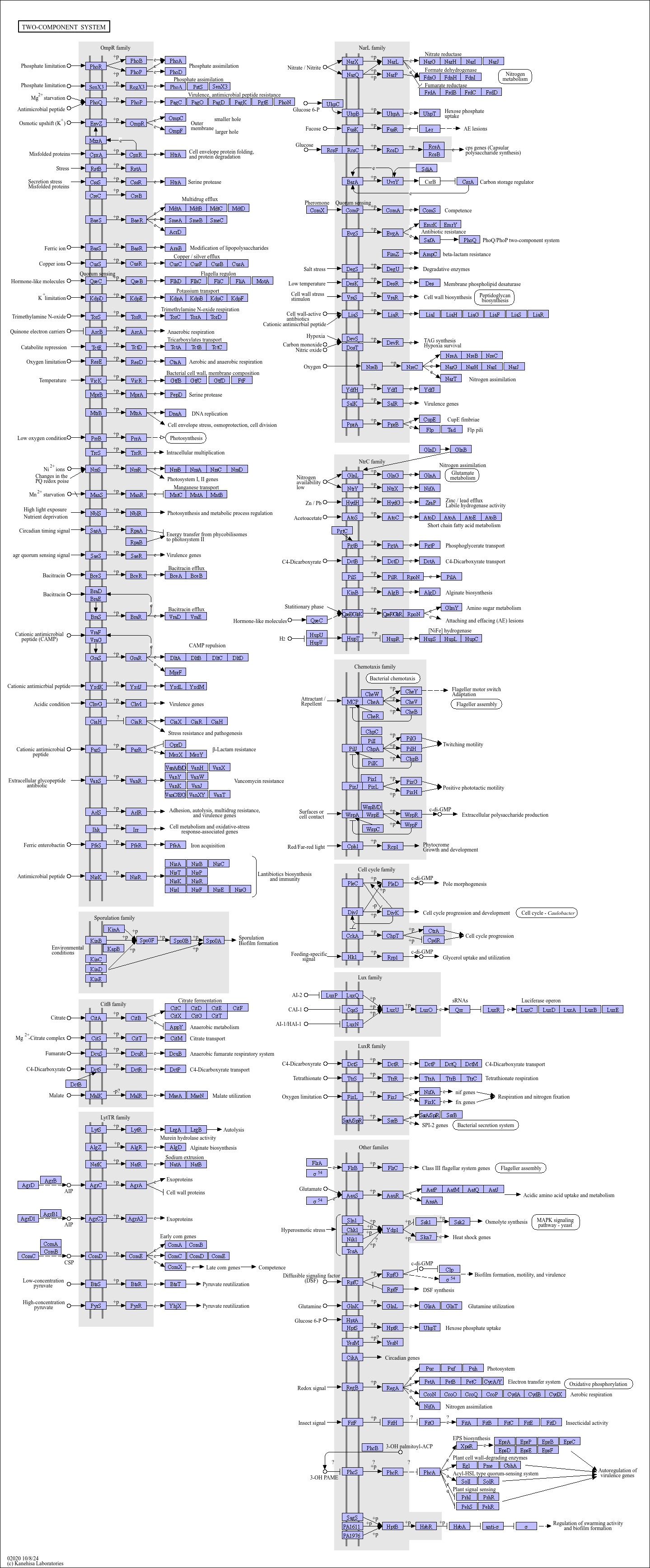 KEGG PATHWAY: Two-component system