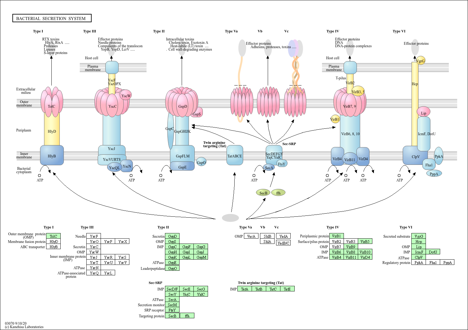 KEGG PATHWAY: Bacterial secretion system - Klebsiella pneumoniae 34618