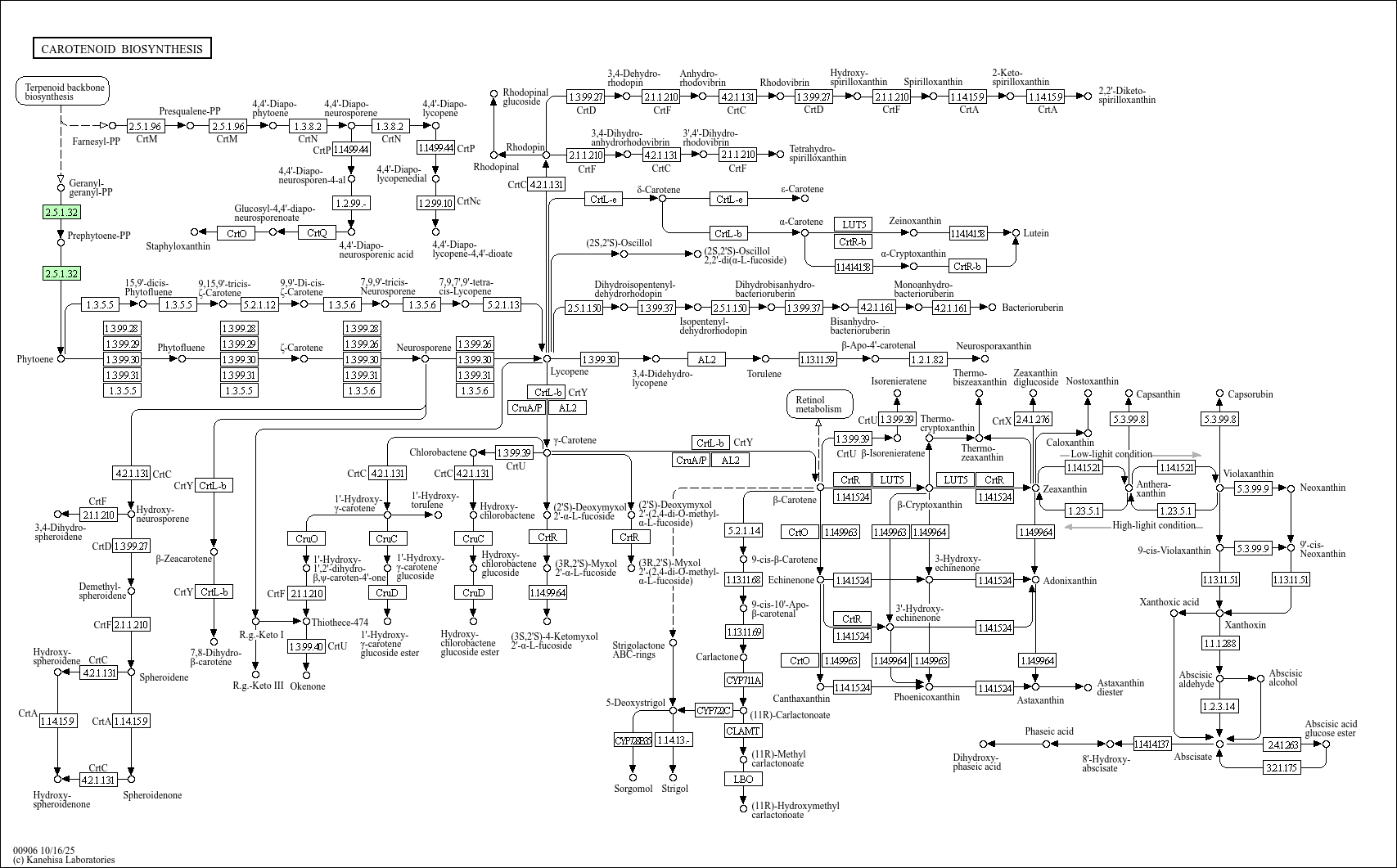 KEGG PATHWAY: Carotenoid biosynthesis - Kocuria rhizophila