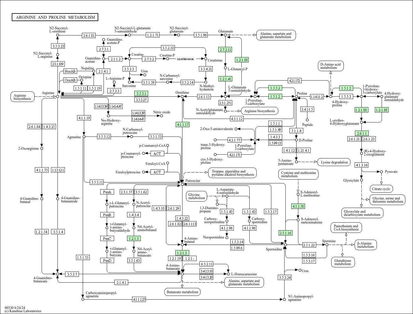 KEGG PATHWAY: Arginine and proline metabolism - Leishmania donovani