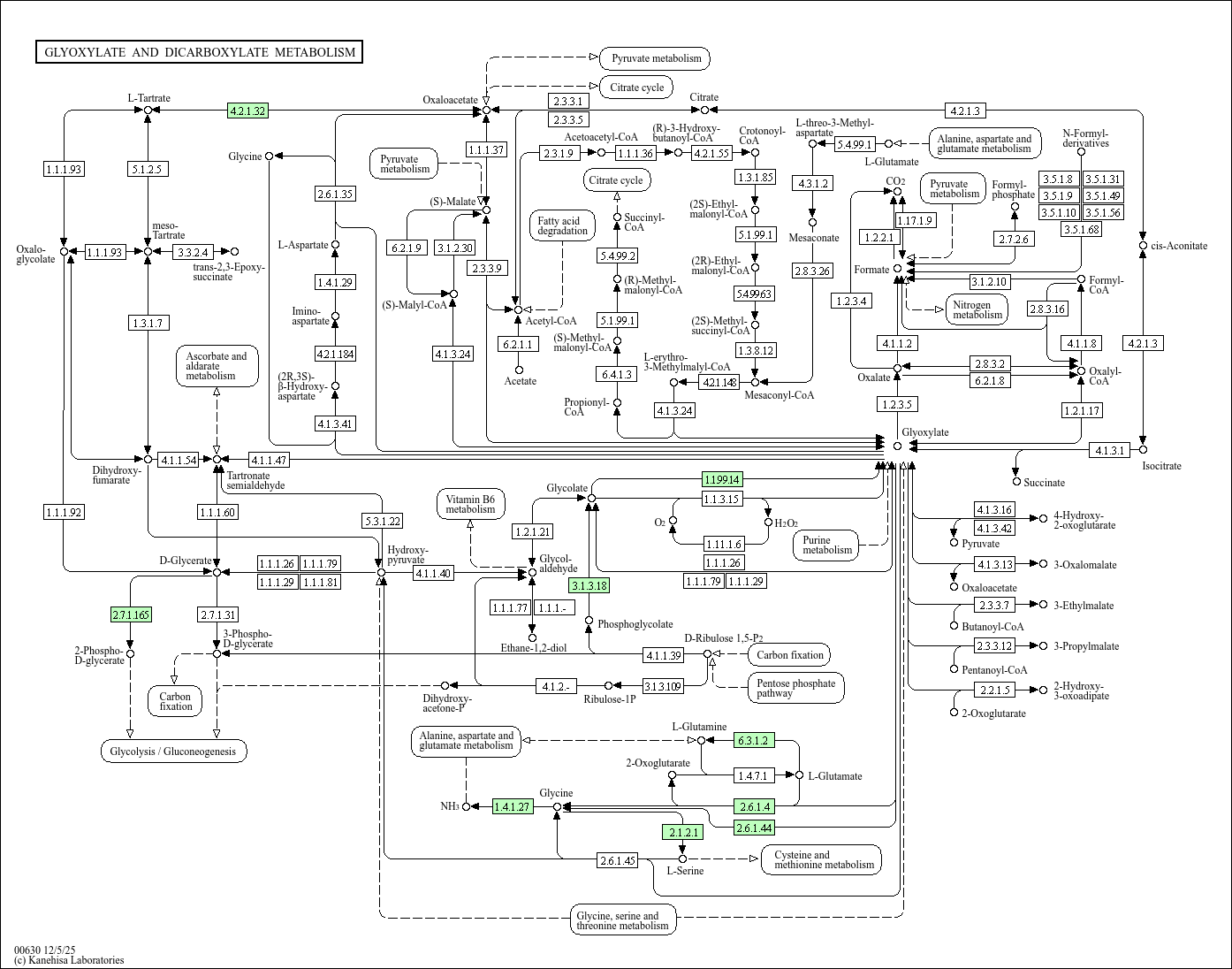 KEGG PATHWAY: Glyoxylate and dicarboxylate metabolism ...