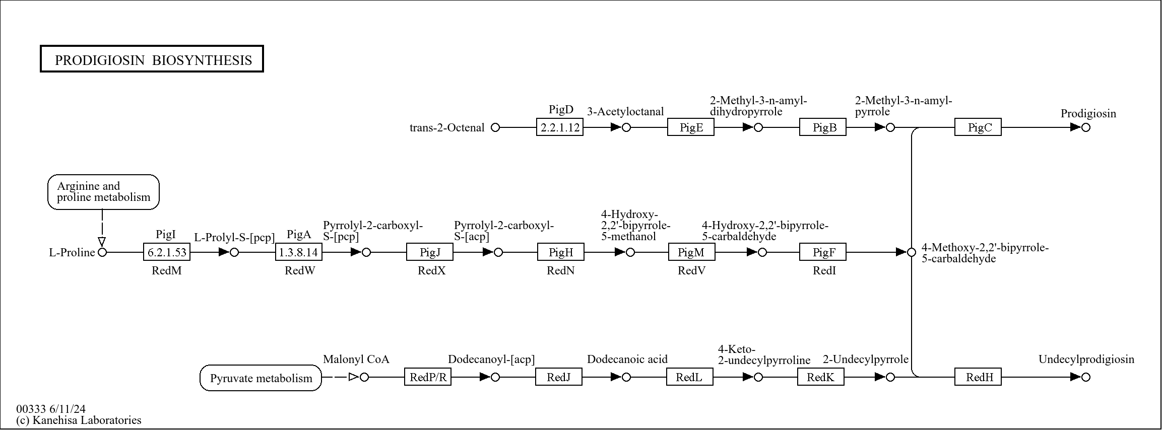 KEGG PATHWAY: Prodigiosin biosynthesis - Reference pathway