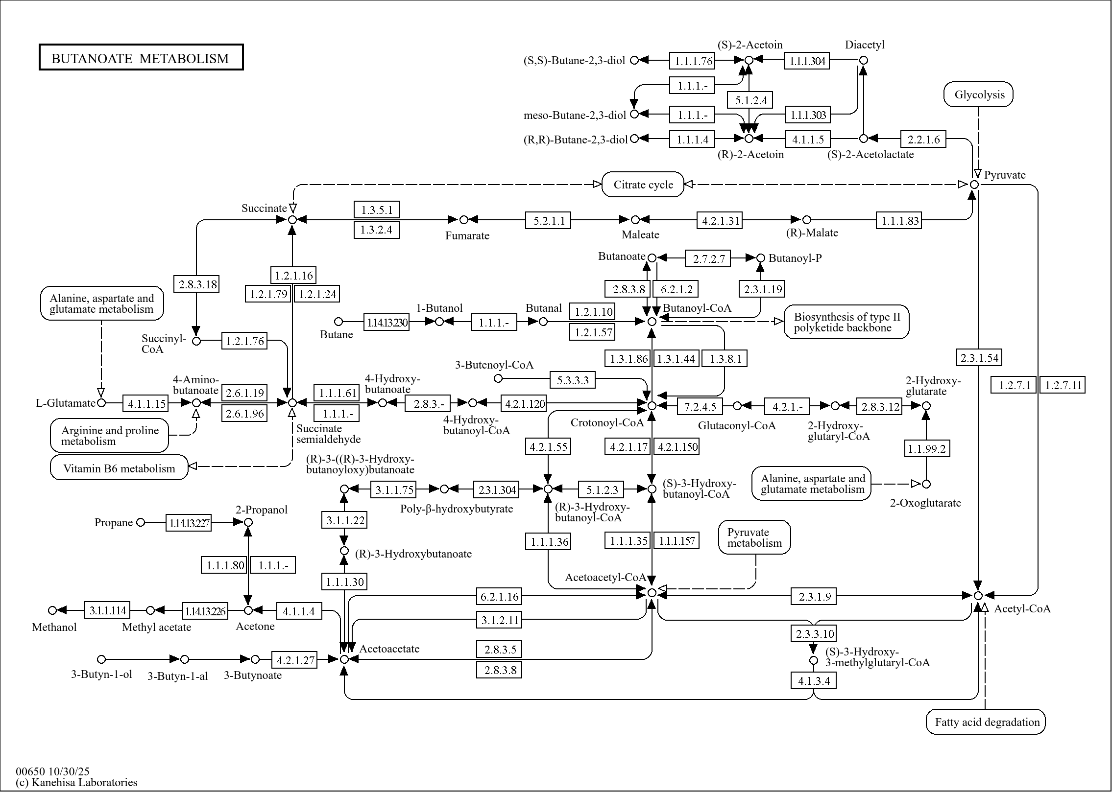 KEGG PATHWAY: Butanoate metabolism - Reference pathway