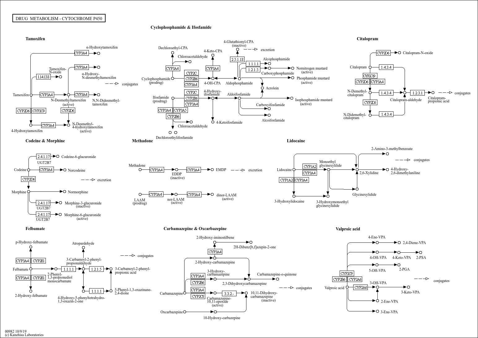 KEGG PATHWAY Drug Metabolism Cytochrome P450 Reference Pathway