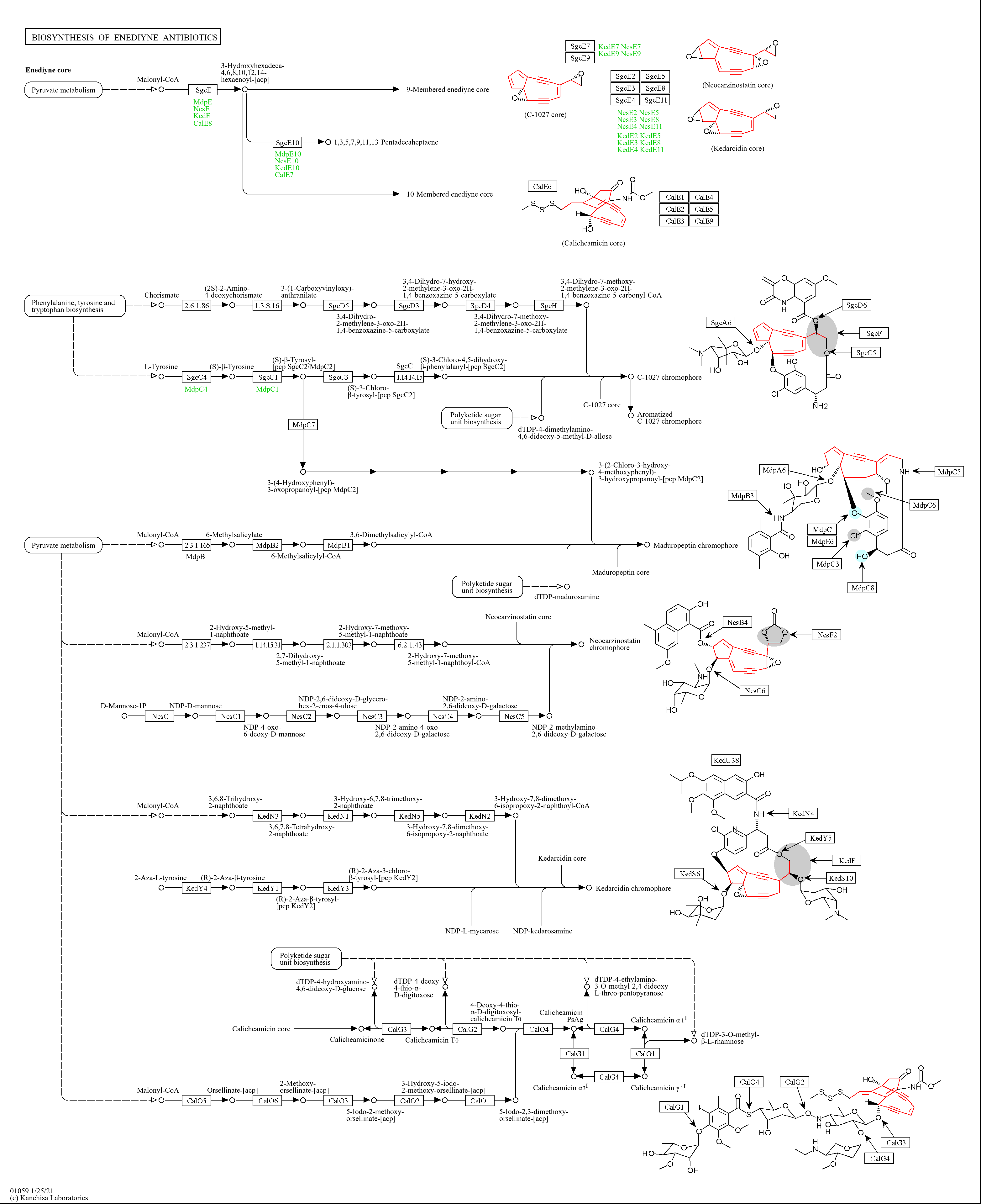 KEGG PATHWAY: Biosynthesis of enediyne antibiotics - Reference pathway