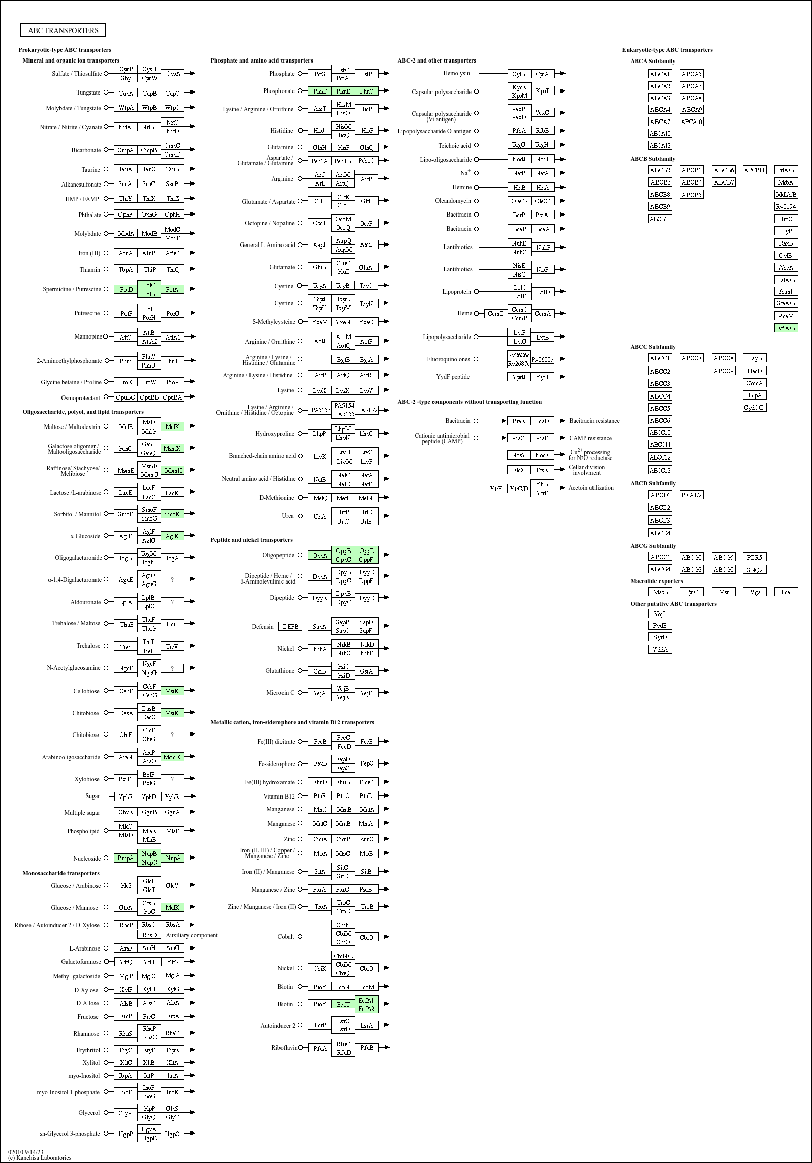 KEGG PATHWAY: ABC transporters - Mycoplasmopsis bovis PG45