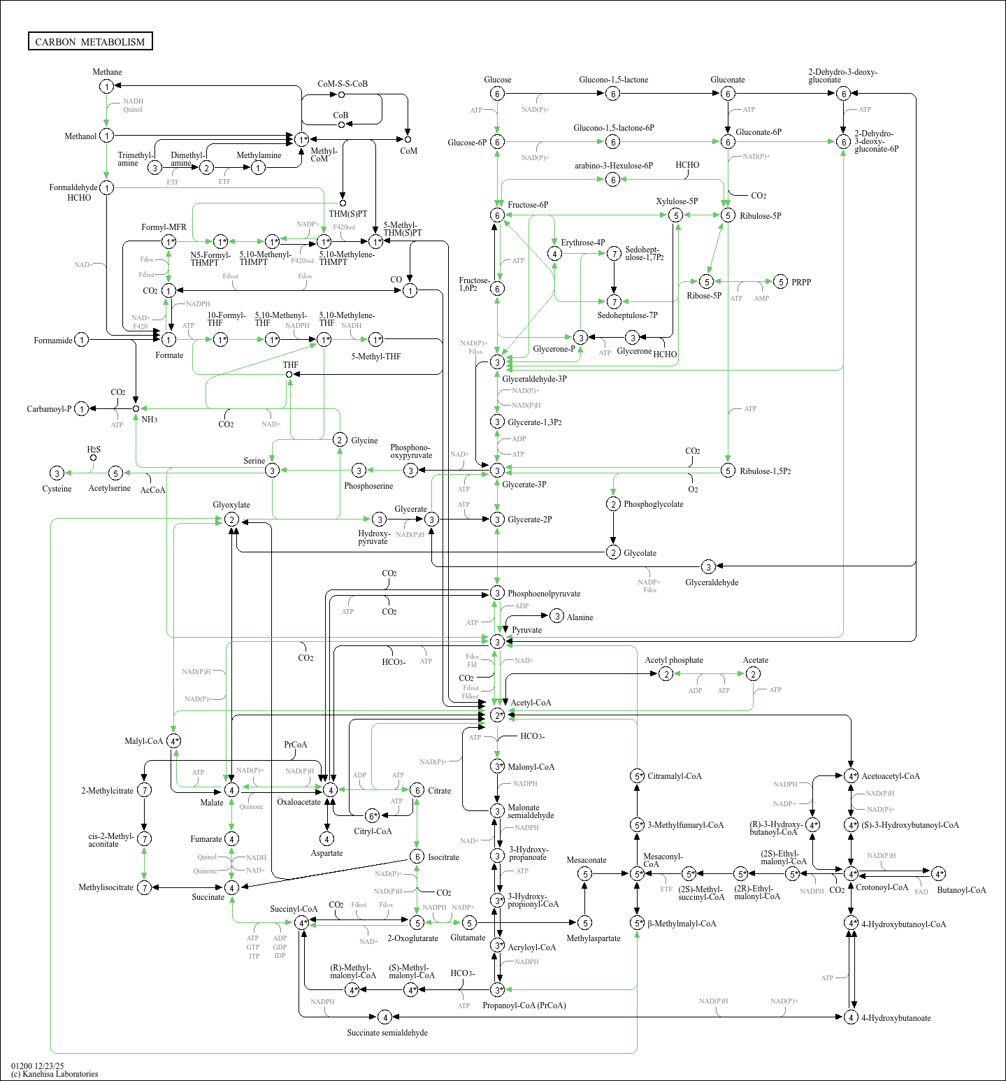 KEGG PATHWAY: Carbon metabolism - Methylococcus capsulatus