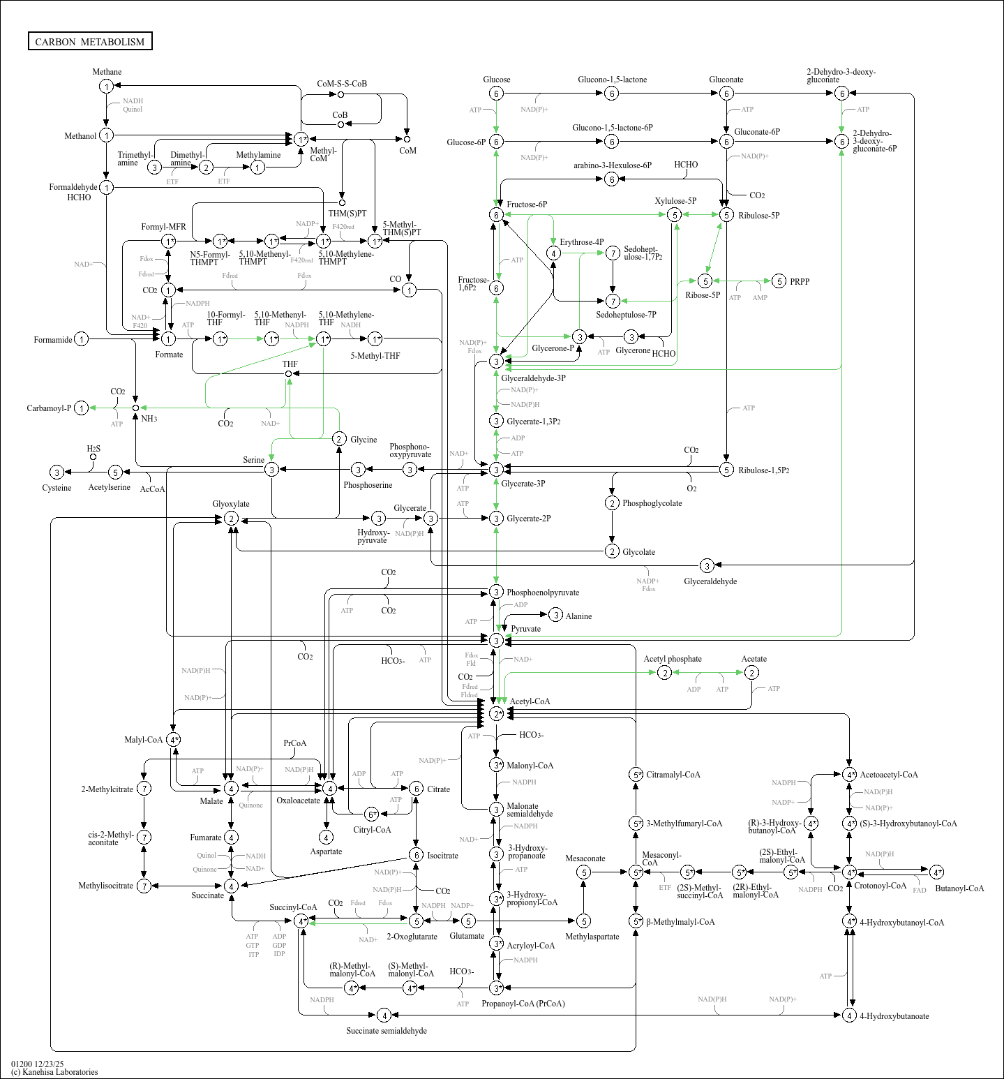 KEGG PATHWAY: Carbon metabolism - Mycoplasma crocodyli