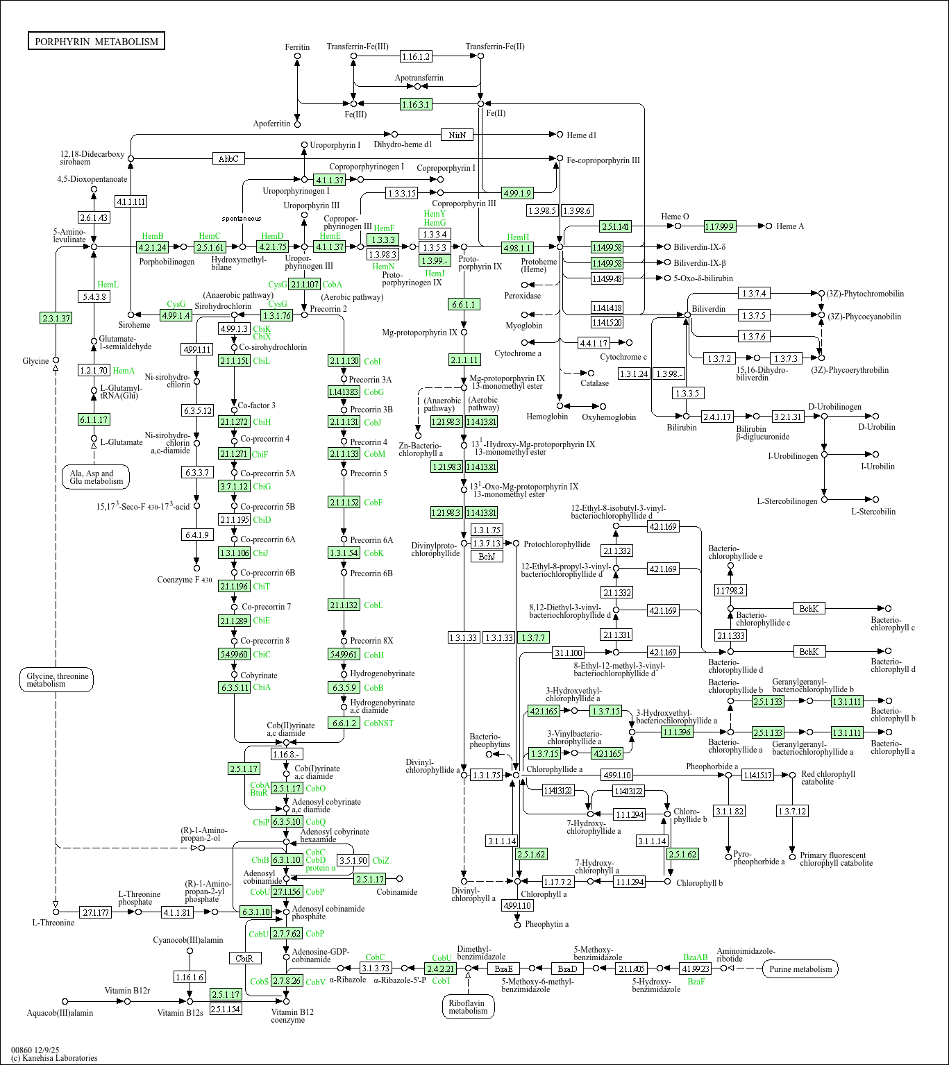 KEGG PATHWAY: Porphyrin metabolism - Methylorubrum extorquens DM4
