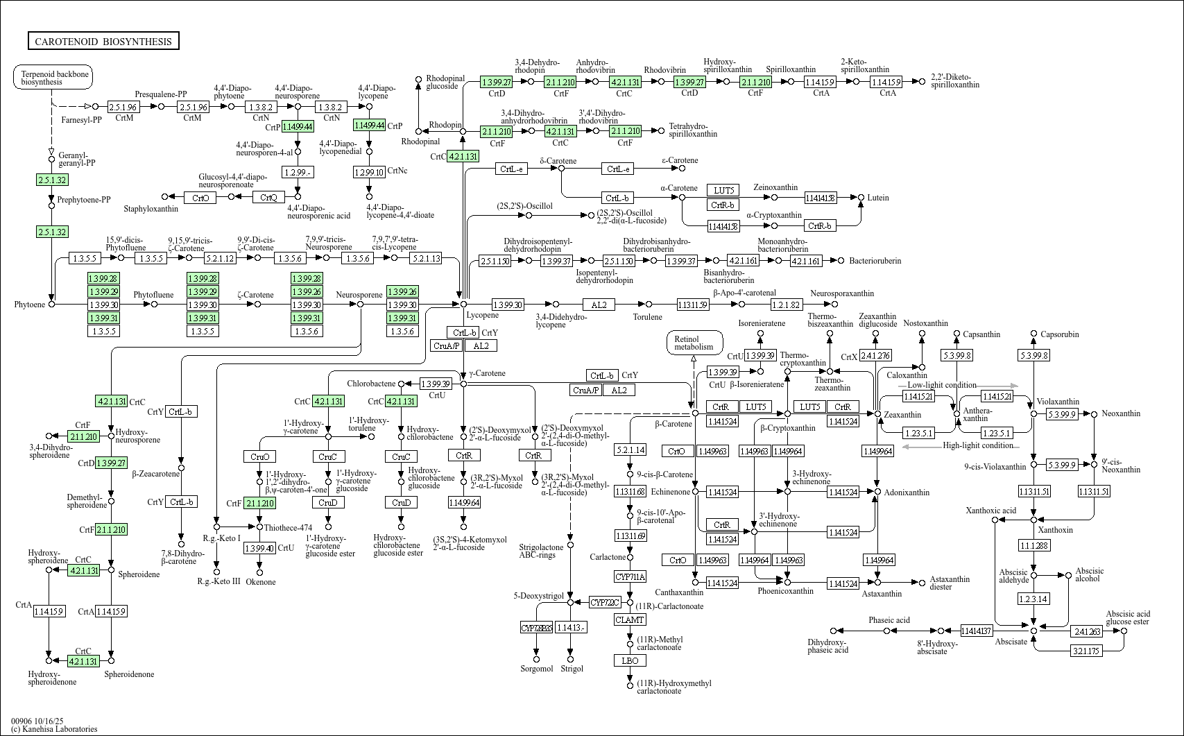 KEGG PATHWAY: Carotenoid biosynthesis - Methylorubrum extorquens AM1