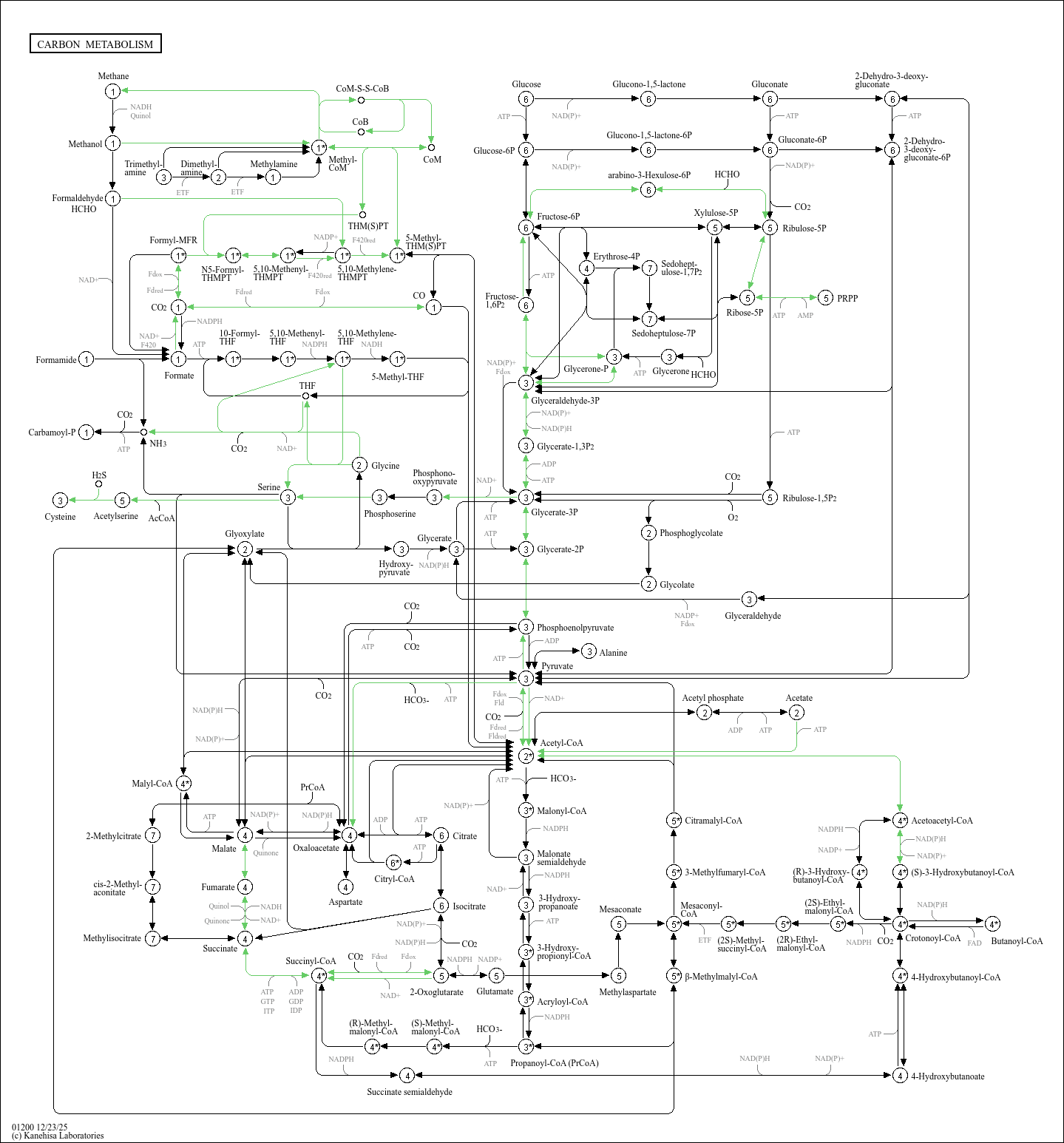 KEGG PATHWAY: Carbon metabolism - Methanobrevibacter smithii