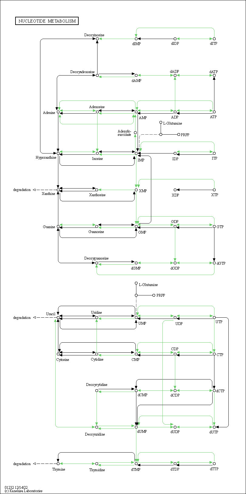 KEGG PATHWAY: Nucleotide metabolism - Novosphingobium aromaticivorans