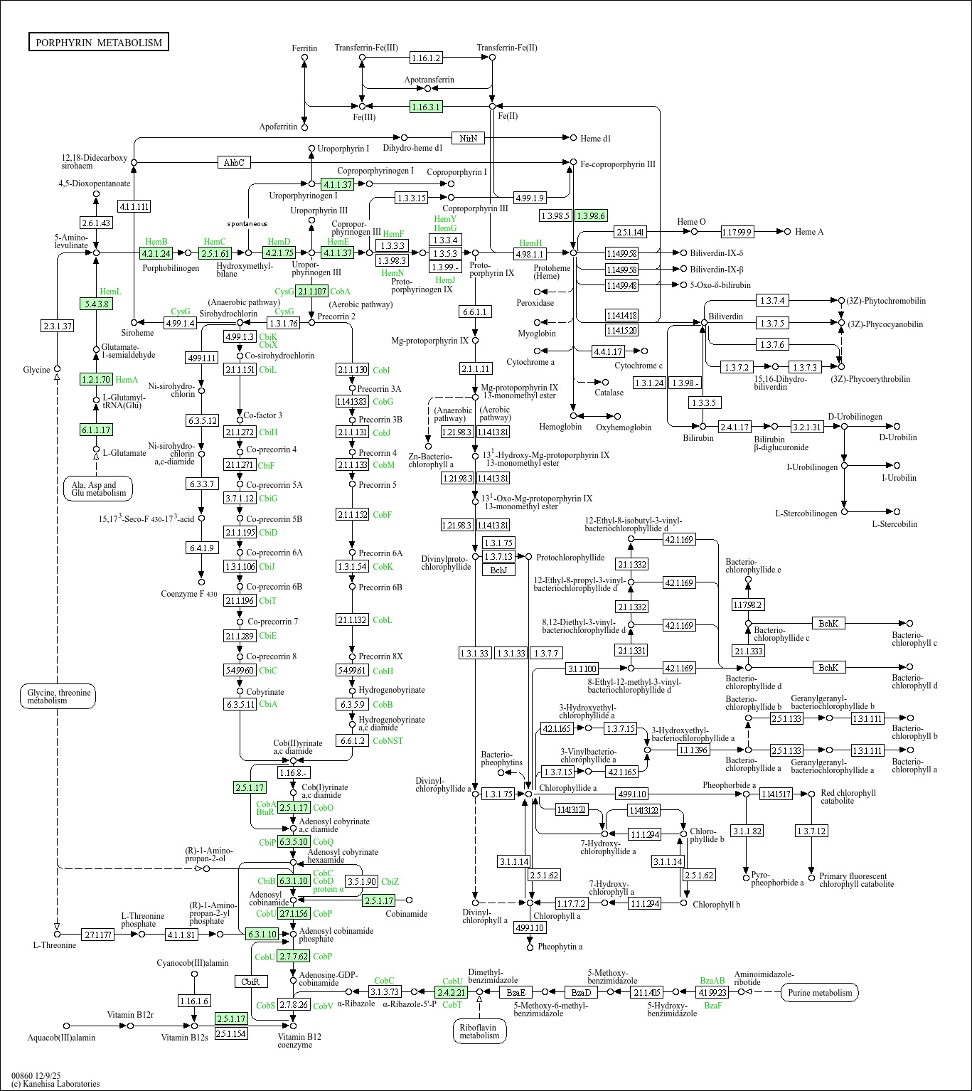 KEGG PATHWAY: Porphyrin metabolism - Nitrospira sp. KM1