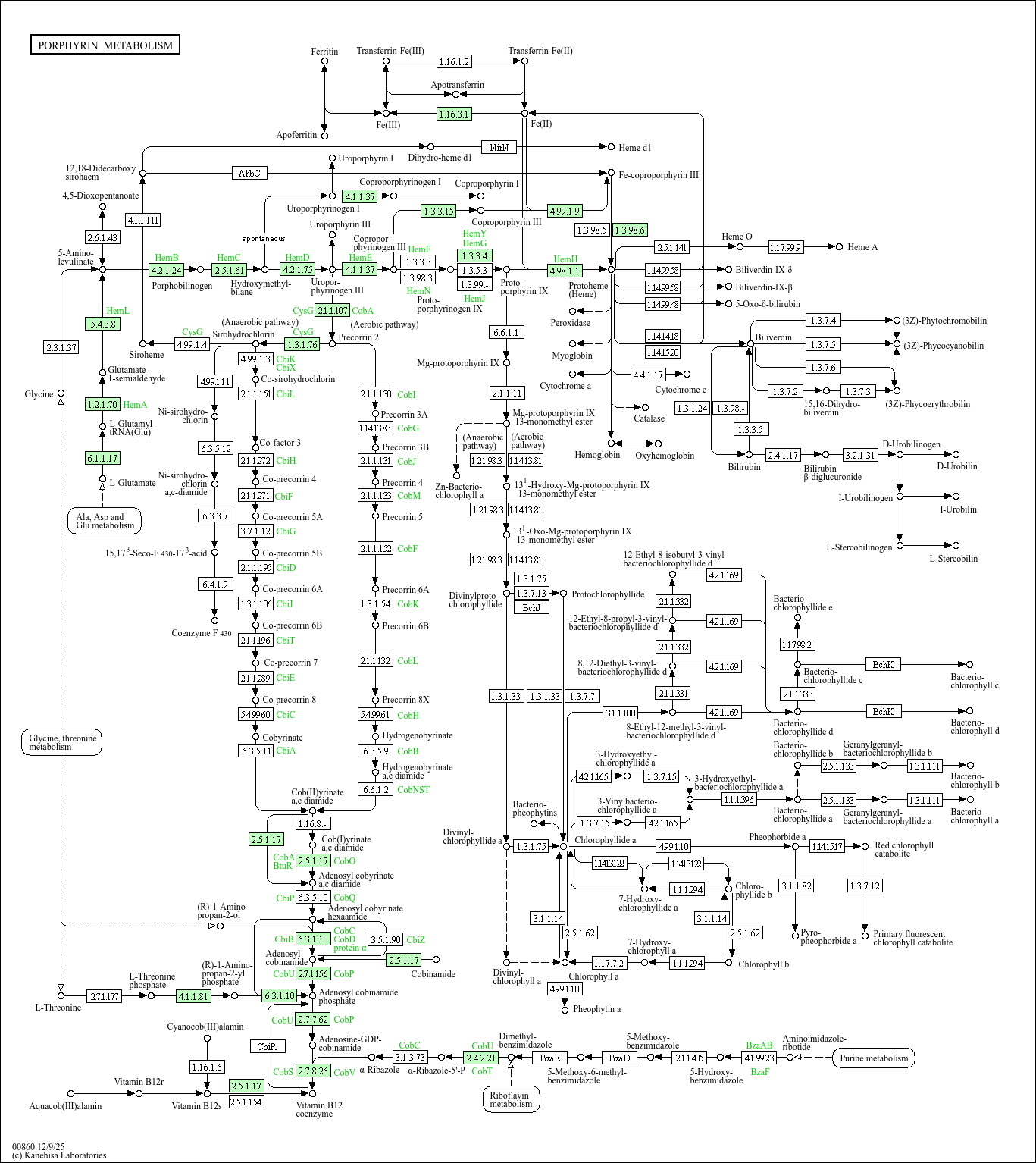 KEGG PATHWAY: Porphyrin metabolism - Candidatus Nitrospira inopinata