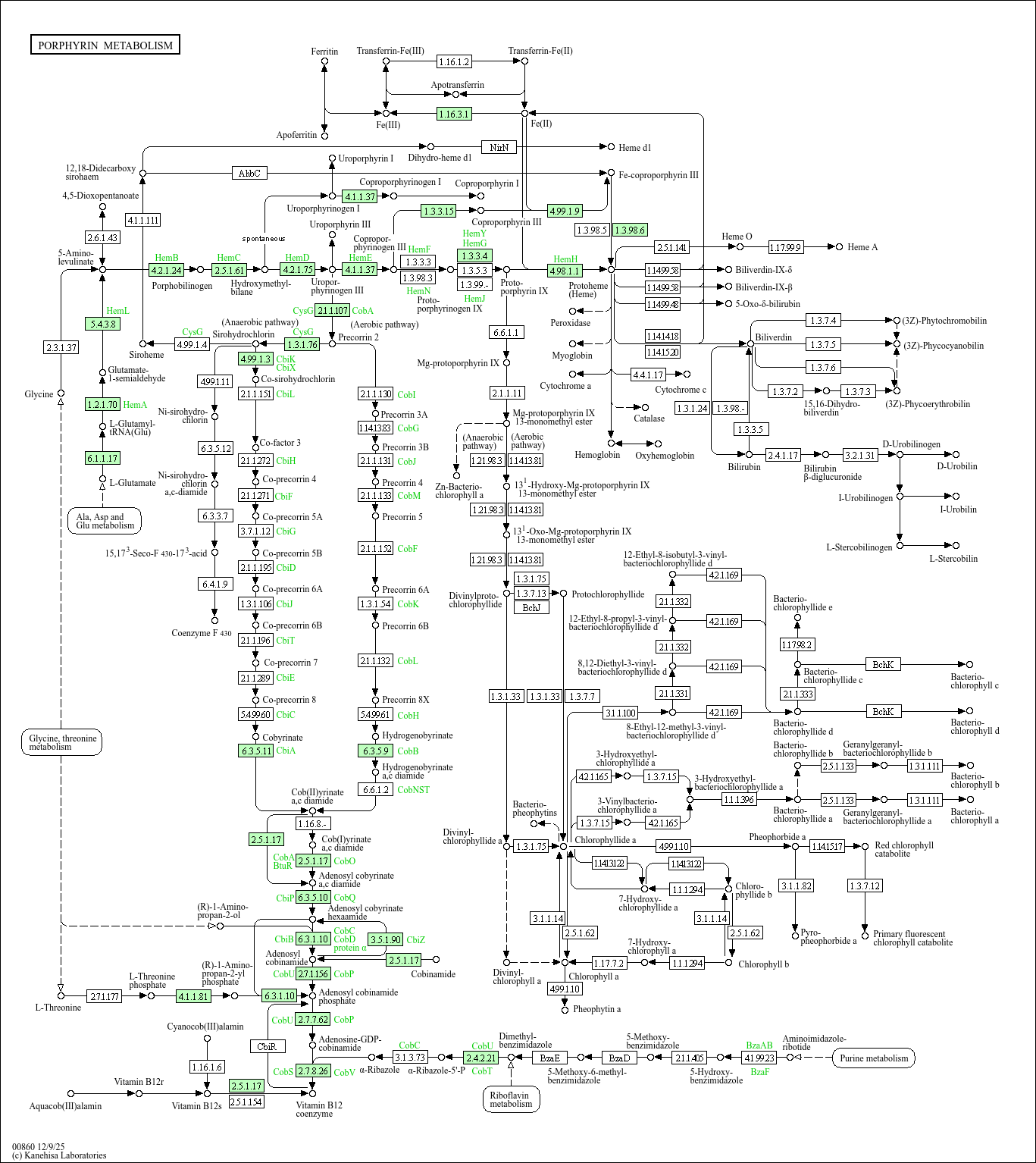 KEGG PATHWAY: Porphyrin metabolism - Nitrospira japonica