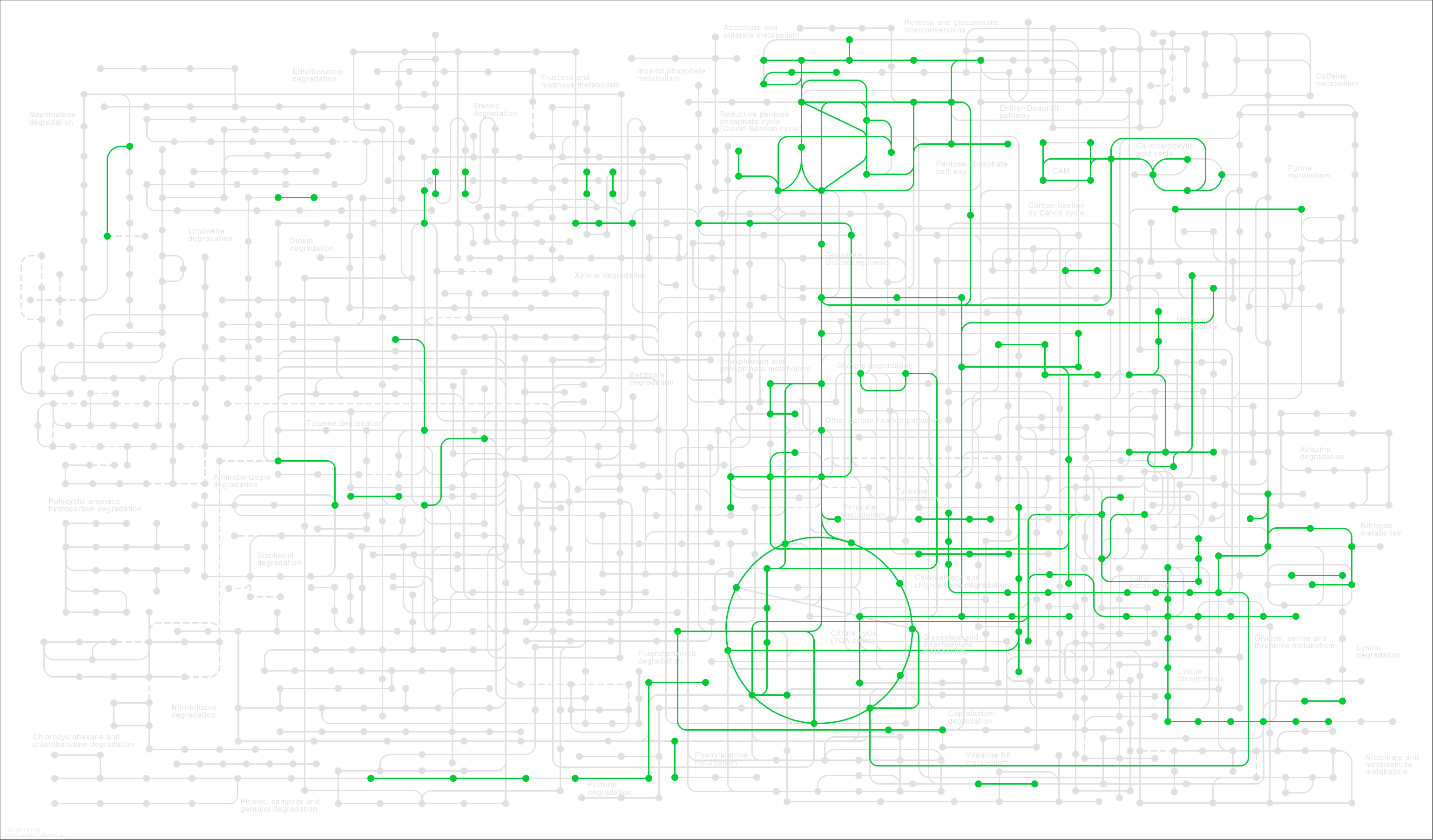 KEGG PATHWAY: Microbial metabolism in diverse environments ...