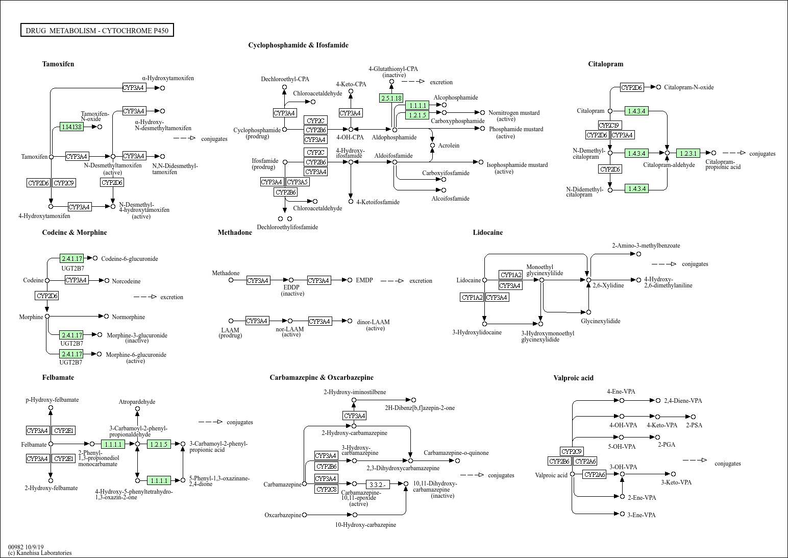 KEGG PATHWAY: Drug metabolism - cytochrome P450 - Oryzias melastigma ...