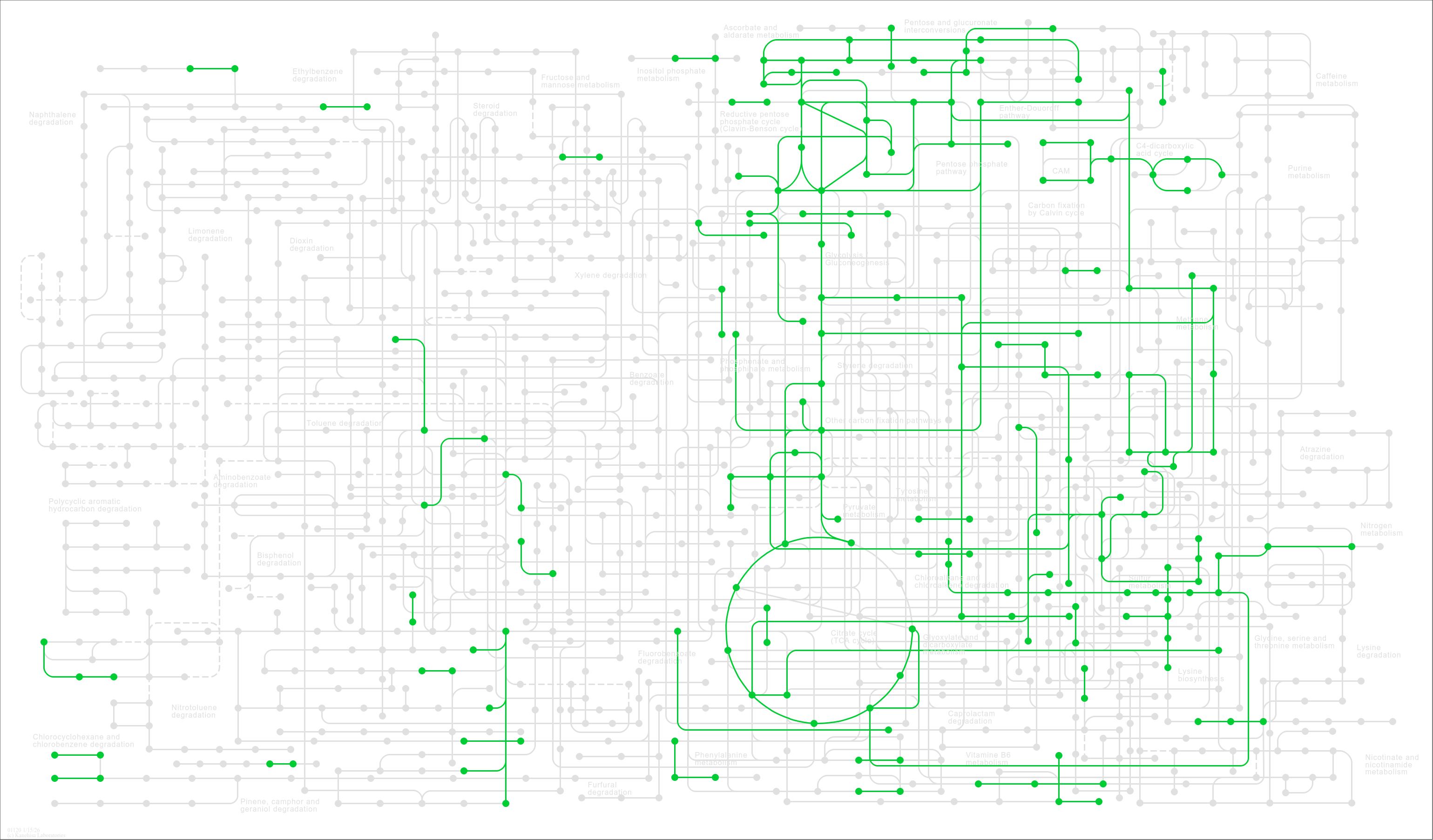 KEGG PATHWAY: Microbial metabolism in diverse environments - Pirellula ...