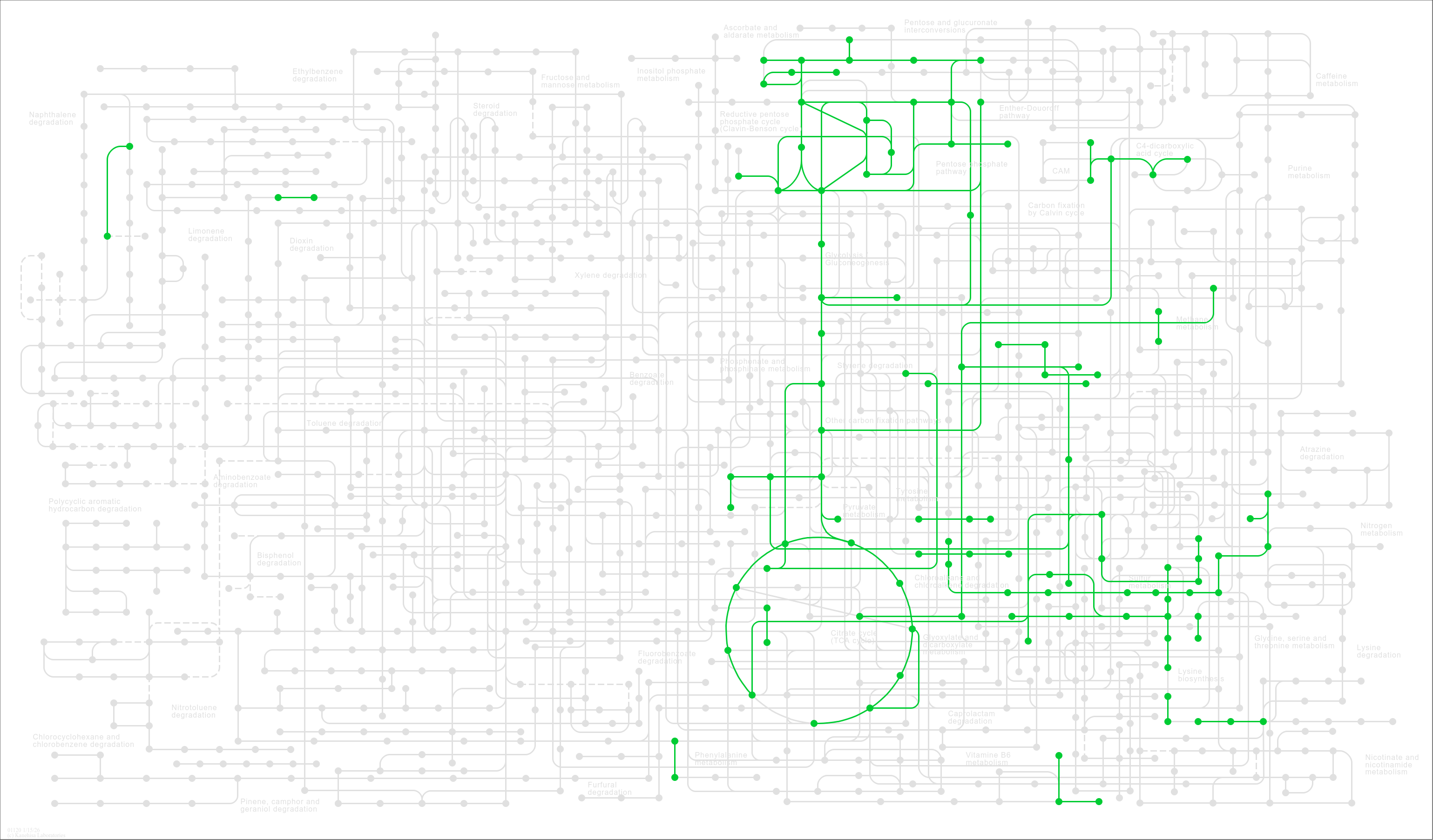 KEGG PATHWAY: Microbial metabolism in diverse environments ...