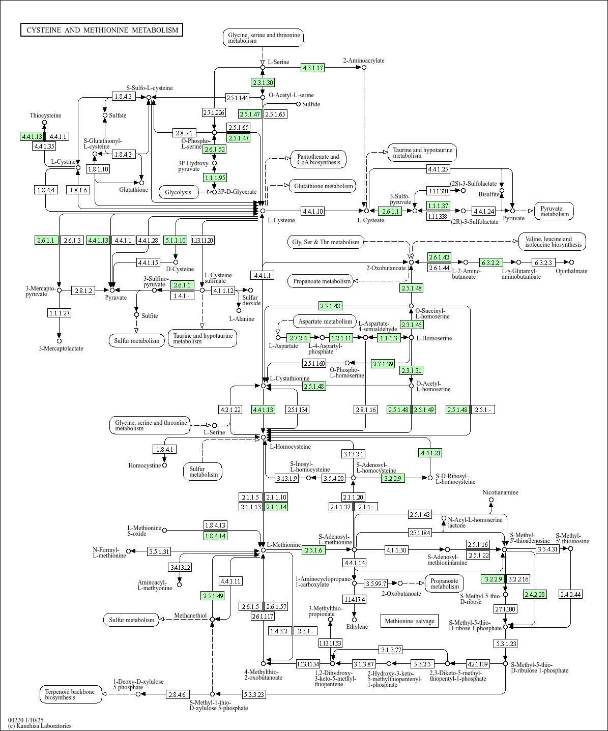 KEGG PATHWAY: Cysteine and methionine metabolism - Pasteurella multocida subsp. multocida Pm70