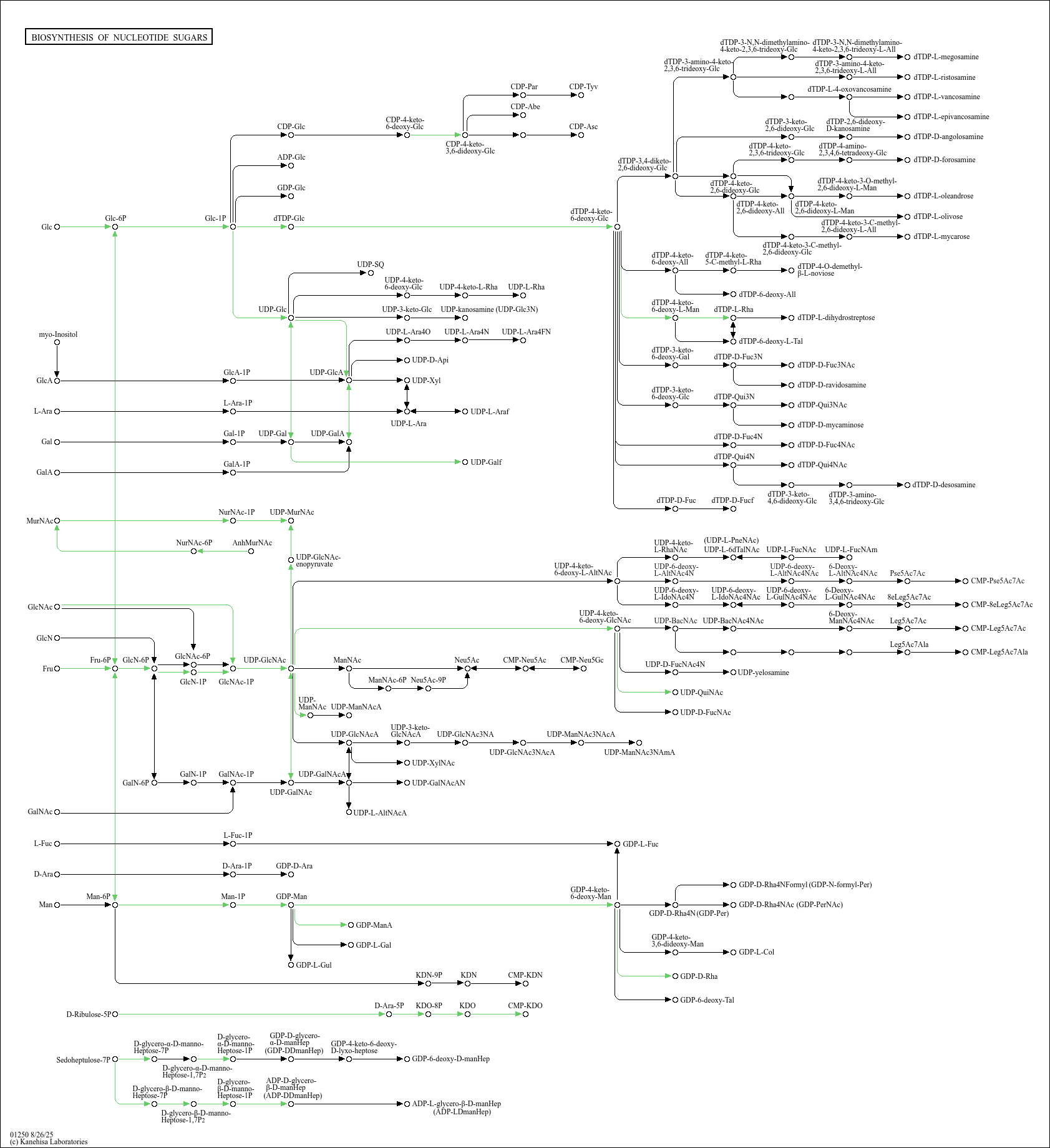 KEGG PATHWAY: Biosynthesis of nucleotide sugars - Pseudomonas syringae ...