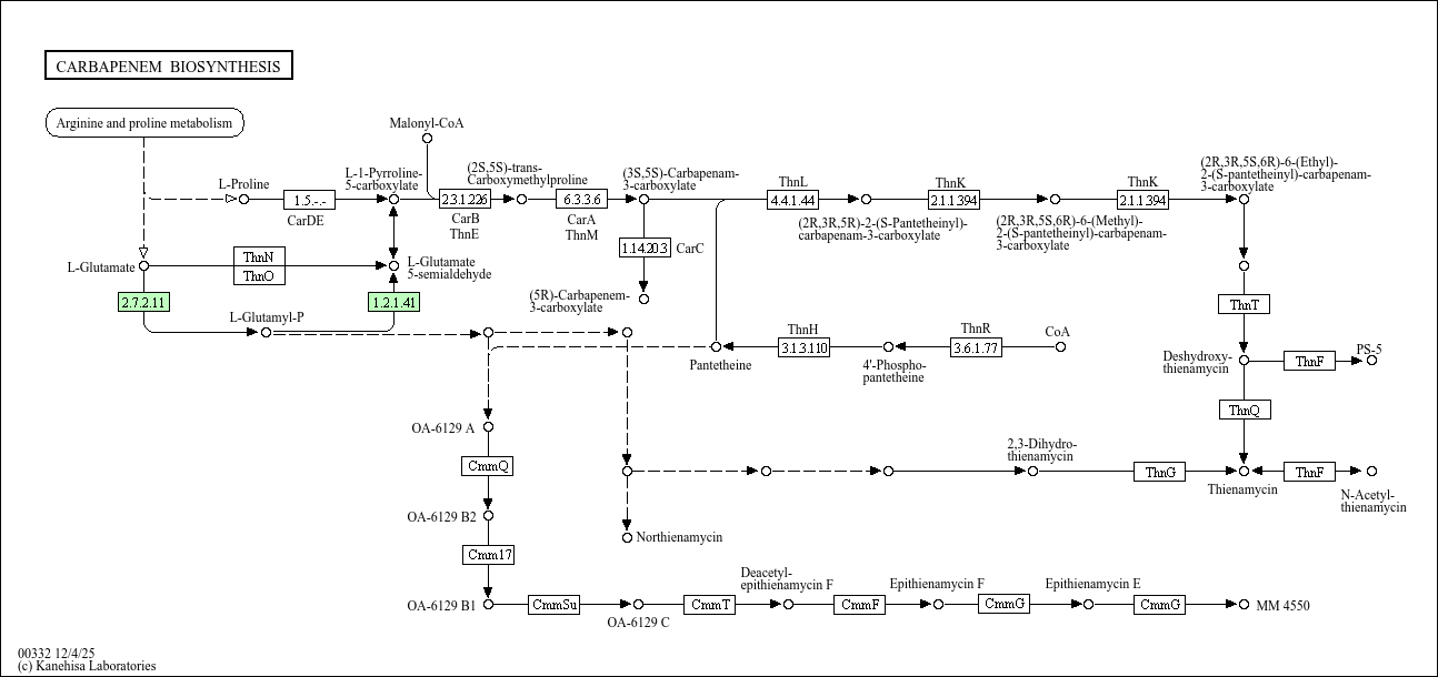 KEGG PATHWAY: Carbapenem biosynthesis - Pseudomonas taetrolens