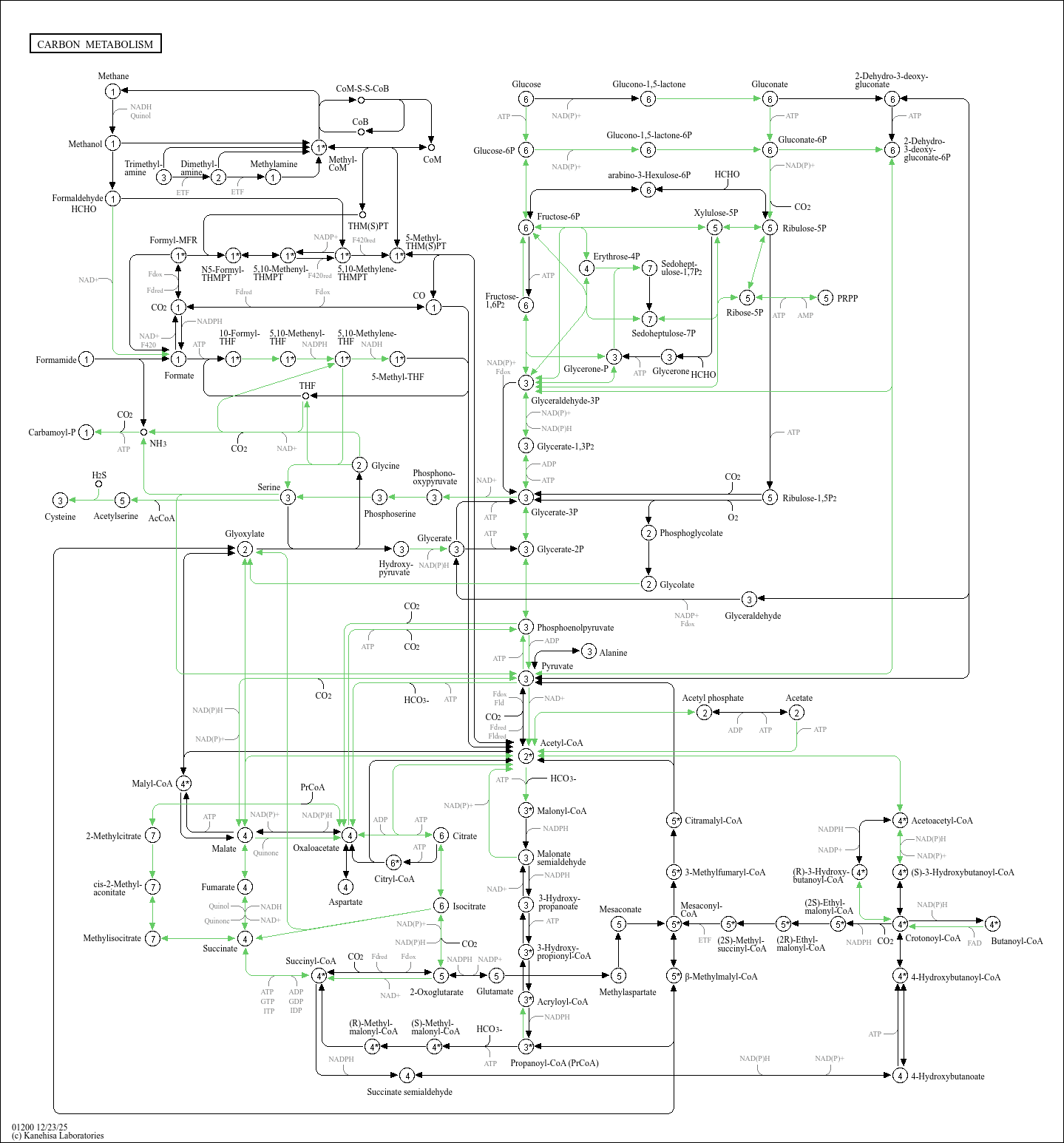 KEGG PATHWAY: Carbon metabolism - Pseudomonas taetrolens