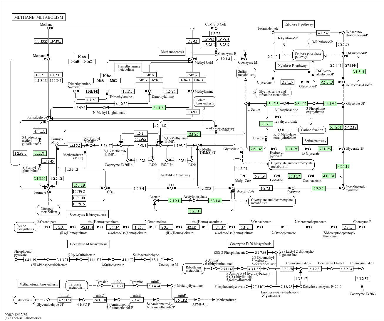 KEGG PATHWAY: Methane metabolism - Cupriavidus necator H16