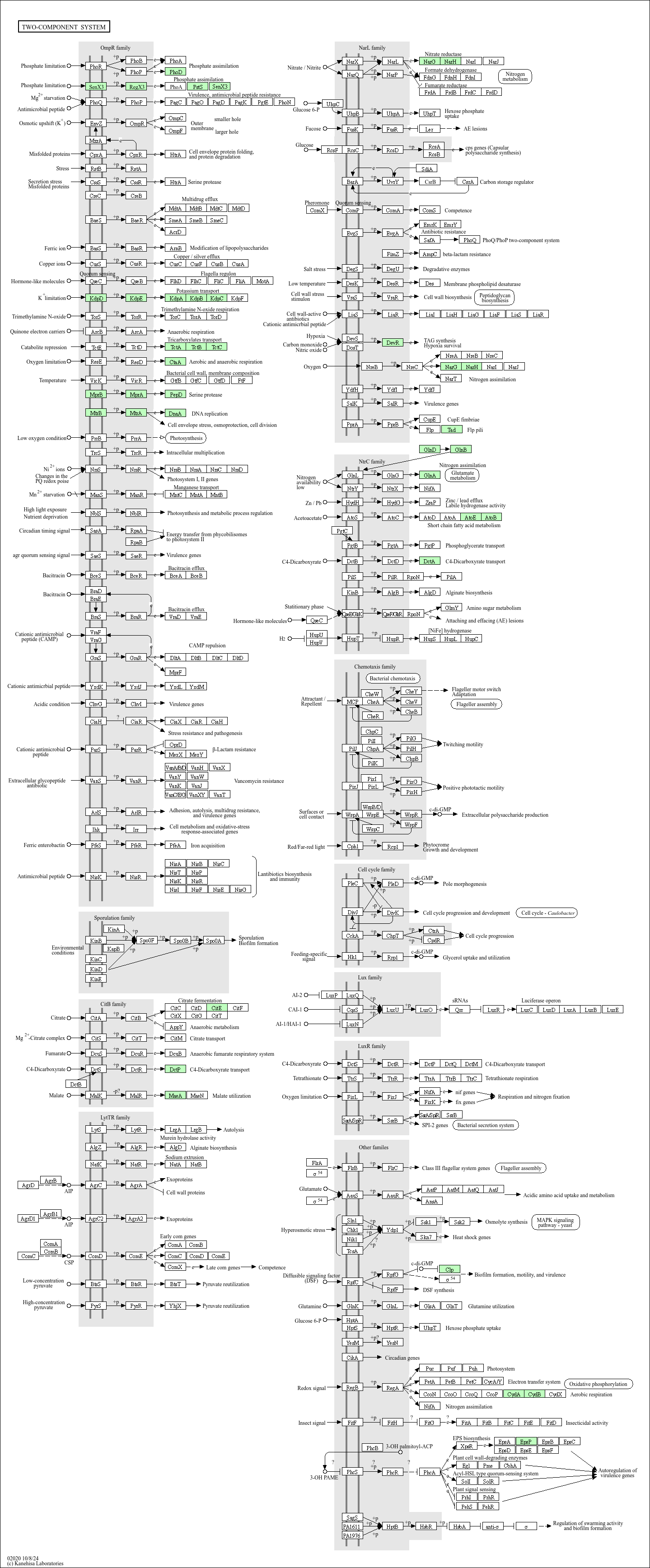 KEGG PATHWAY: Two-component system - Rhodococcus sp. DK17