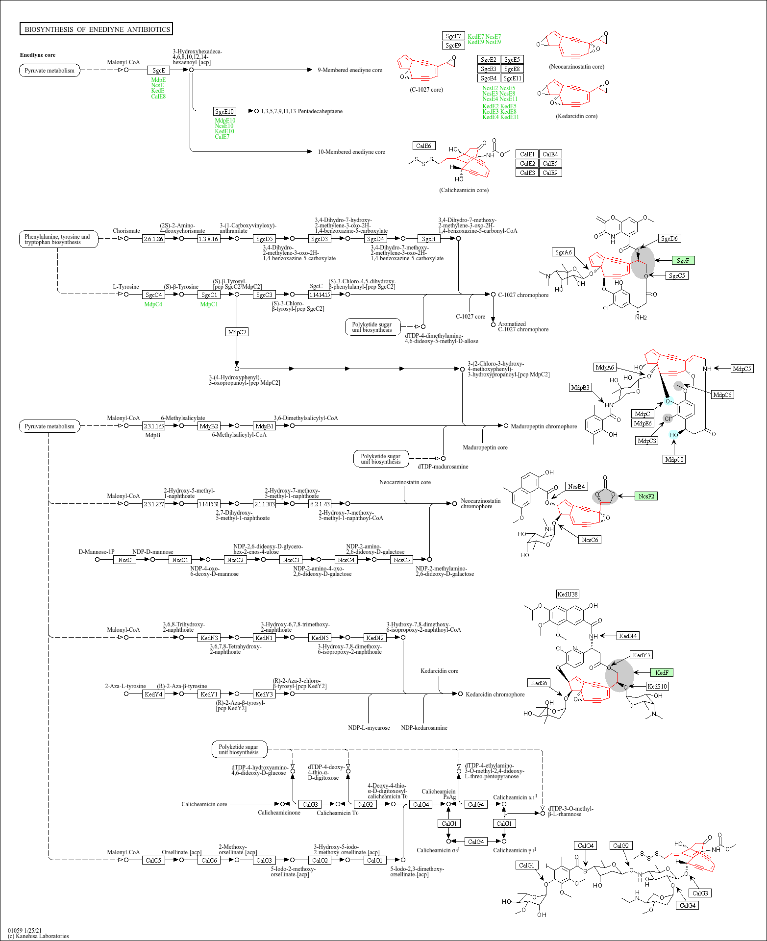 KEGG PATHWAY: Biosynthesis of enediyne antibiotics - Rhodococcus sp. JS3073