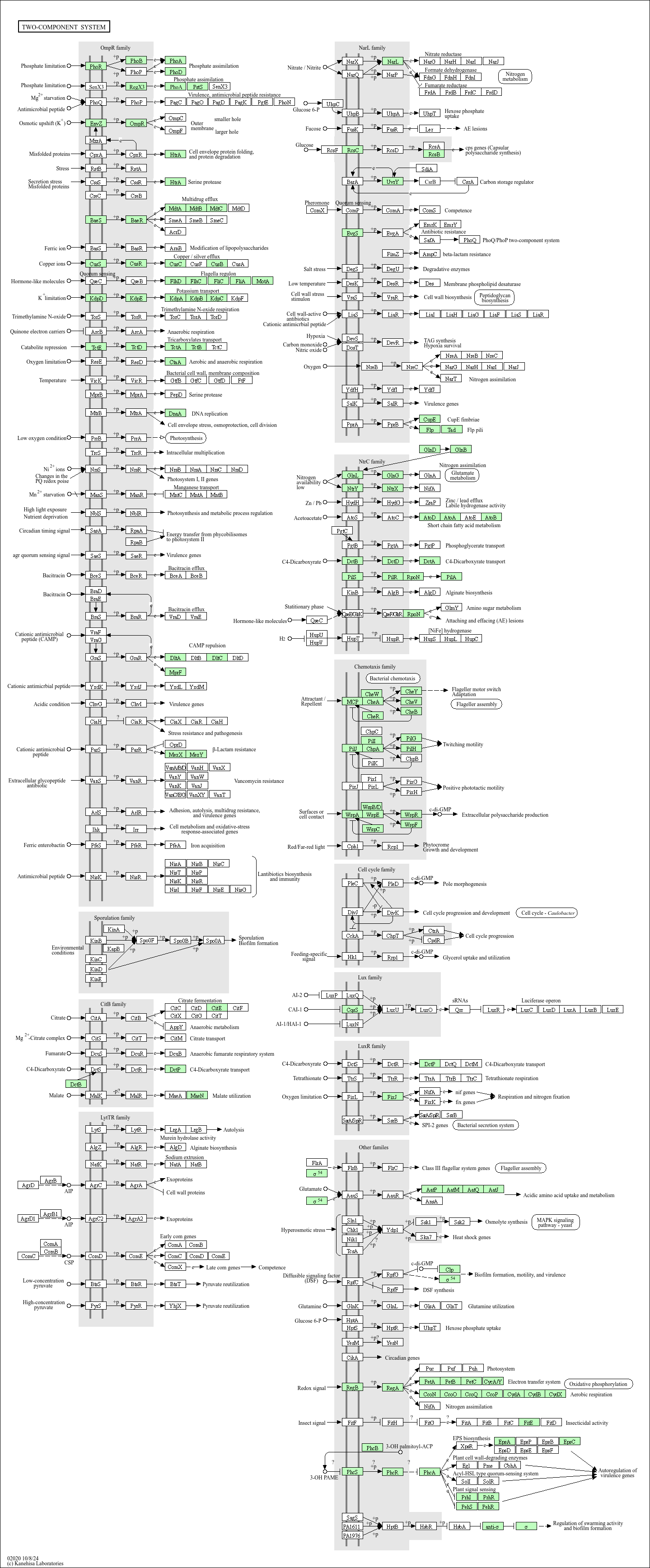KEGG PATHWAY: Two-component system - Ralstonia insidiosa