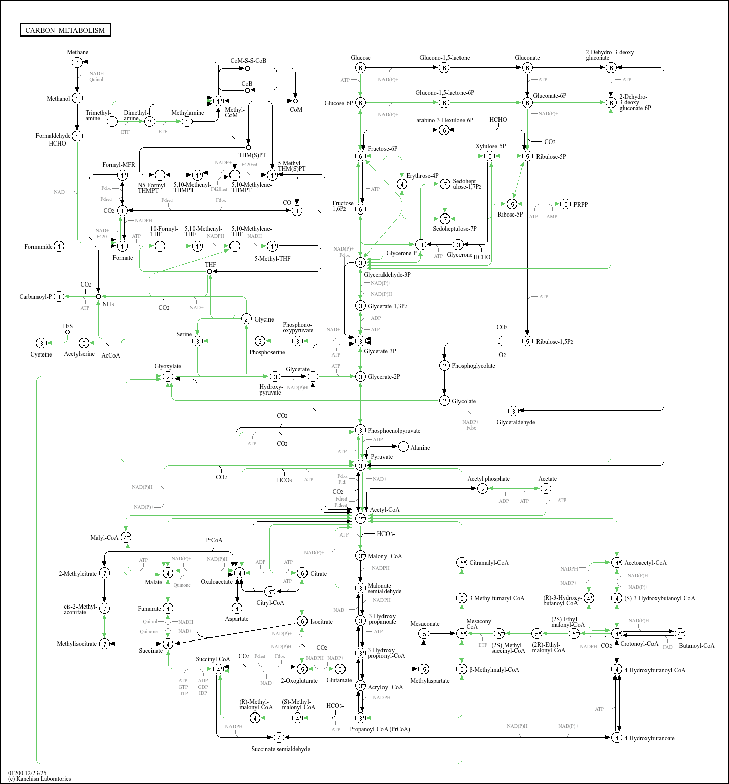 KEGG PATHWAY: Carbon metabolism - Roseovarius mucosus