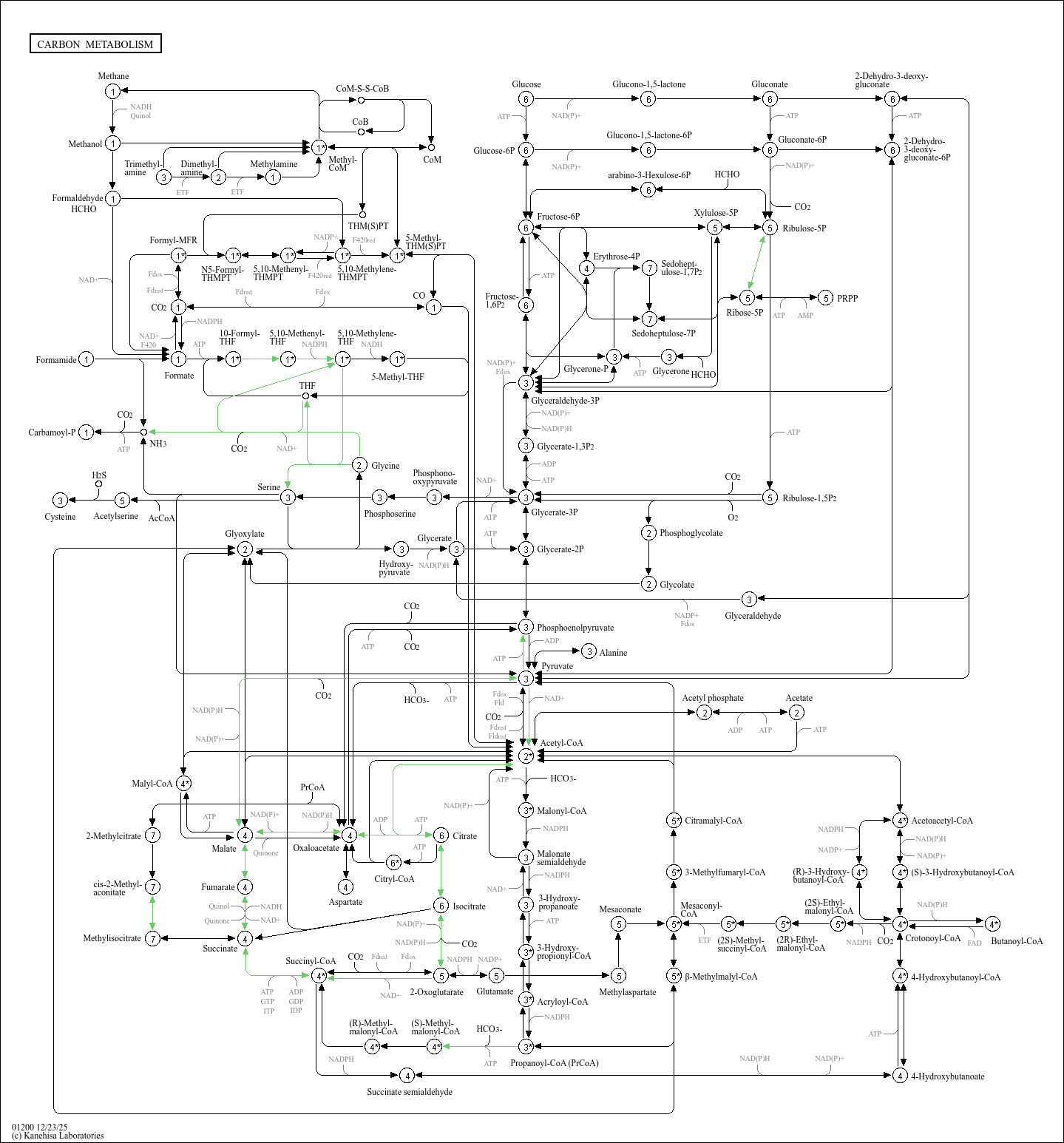 KEGG PATHWAY: Carbon metabolism - Rickettsia peacockii