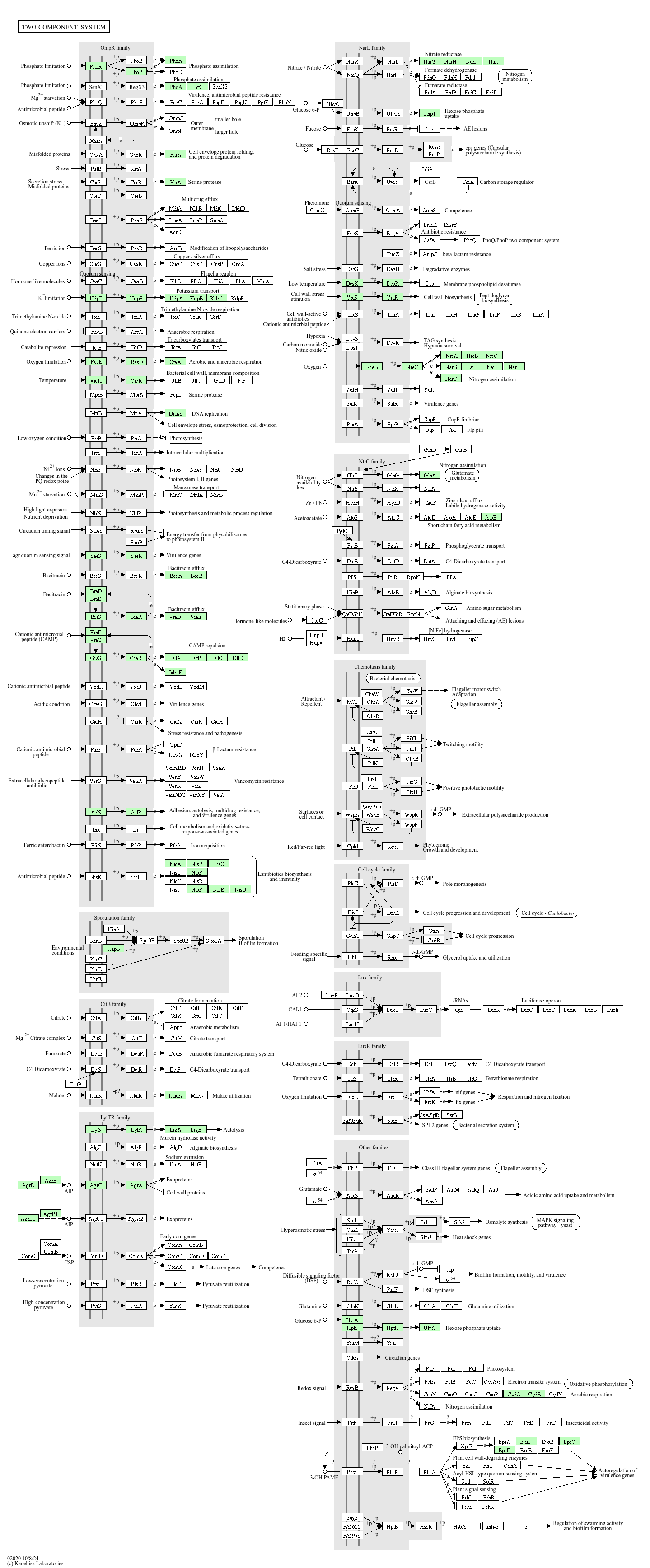KEGG PATHWAY: Two-component system - Staphylococcus aureus subsp ...