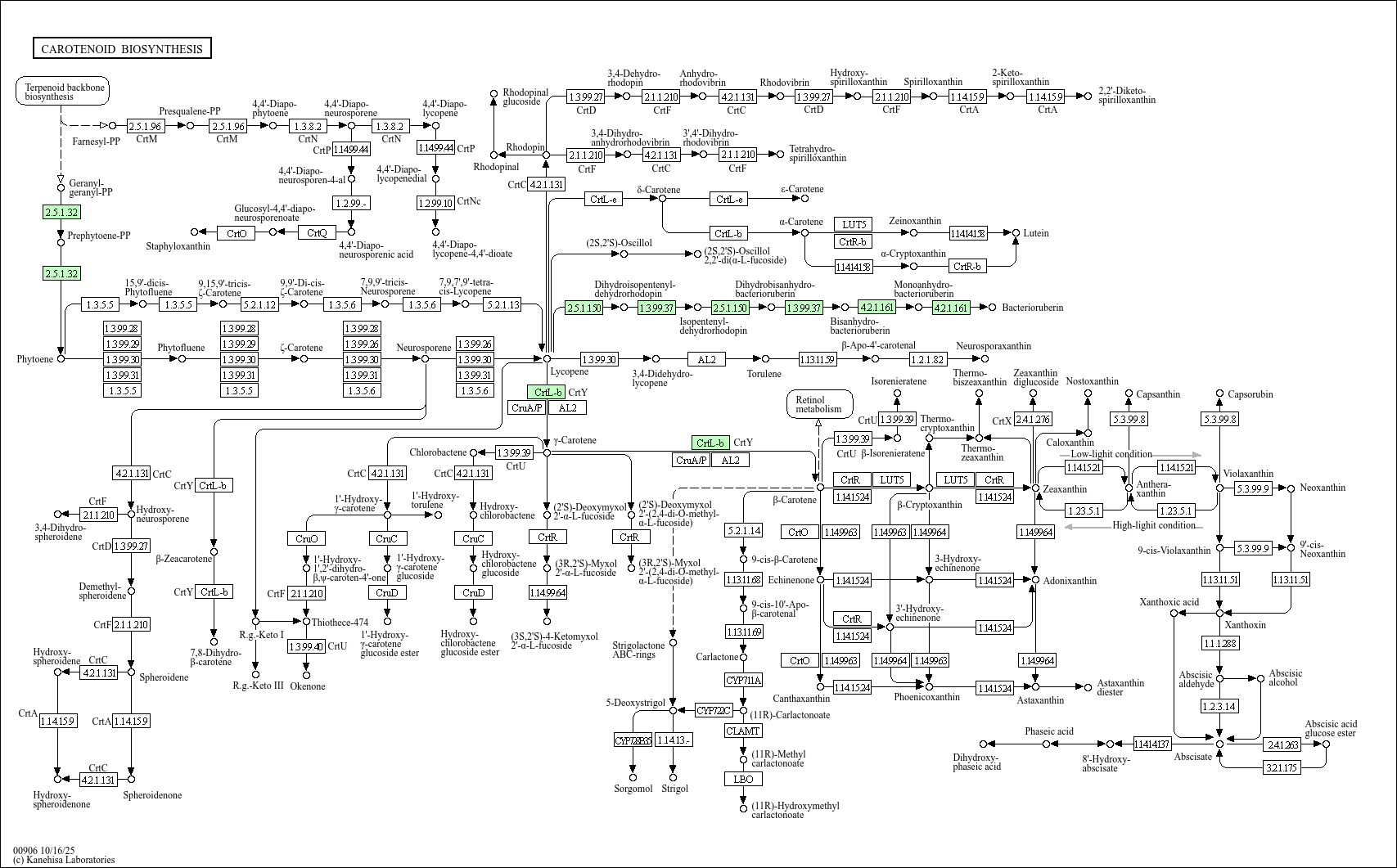 KEGG PATHWAY: Carotenoid biosynthesis - Salinarchaeum sp. IM2453