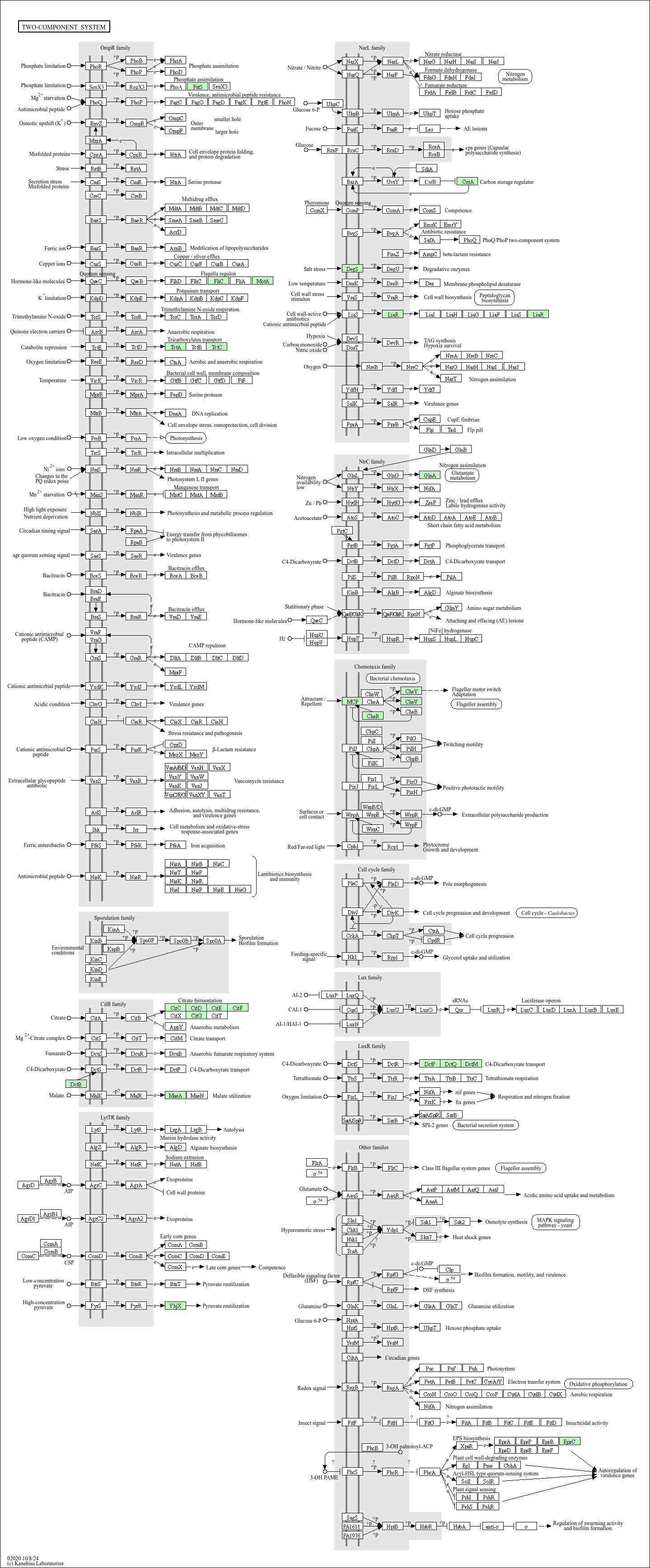 KEGG PATHWAY: Two-component system - Fretibacterium fastidiosum