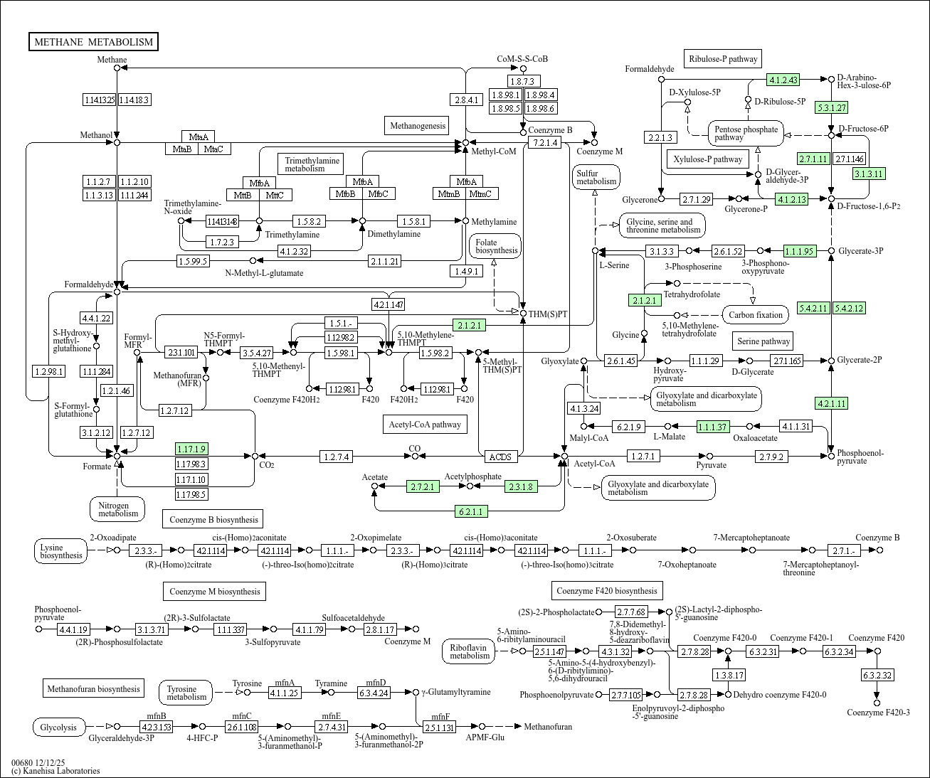 KEGG PATHWAY: Methane metabolism - Staphylococcus carnosus subsp. carnosus