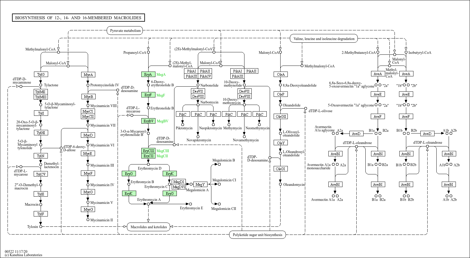 KEGG PATHWAY: Biosynthesis of 12-, 14- and 16-membered macrolides ...