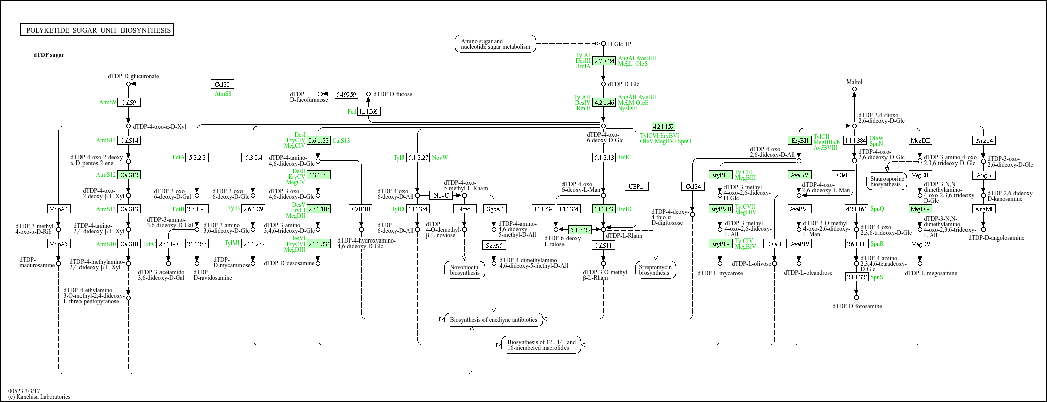 KEGG PATHWAY: Polyketide sugar unit biosynthesis - Saccharopolyspora ...