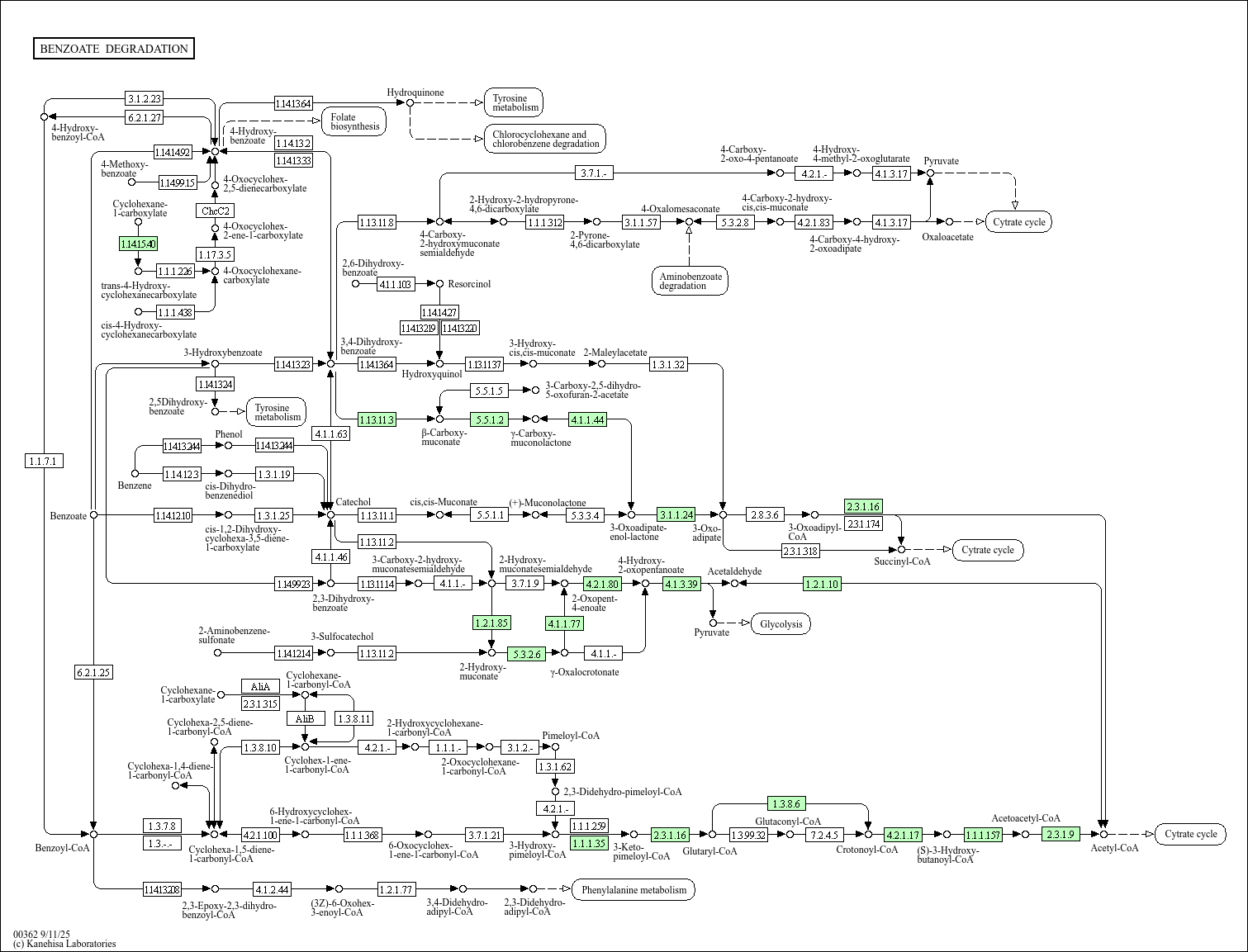 KEGG PATHWAY: Benzoate degradation - Streptomyces huangiella