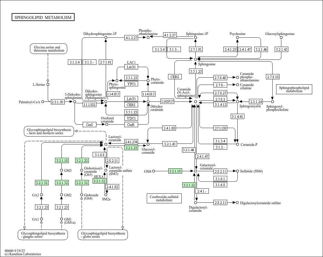 KEGG PATHWAY: Sphingolipid metabolism - Streptomyces huangiella