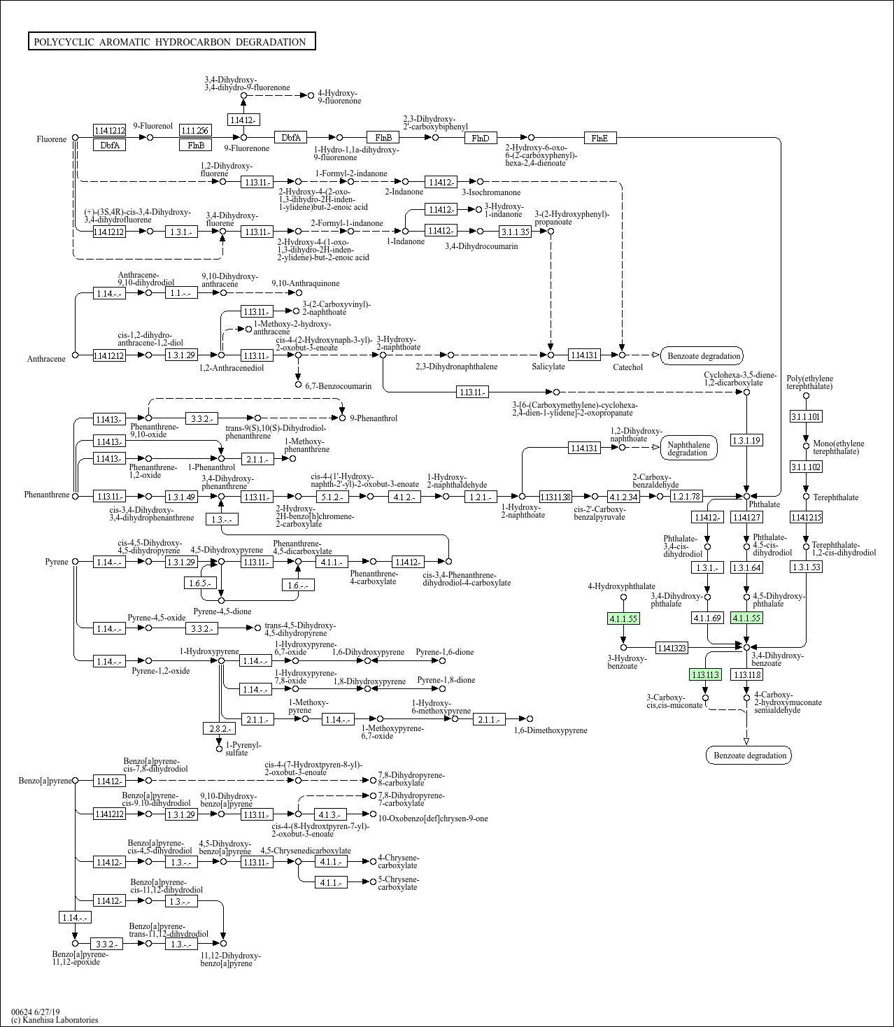 KEGG PATHWAY: Polycyclic aromatic hydrocarbon degradation ...
