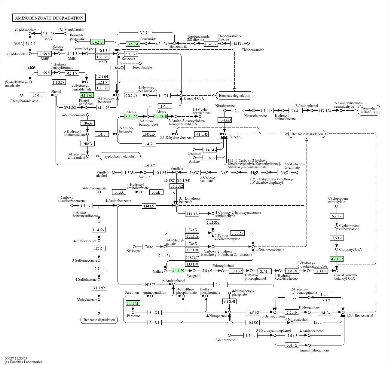 KEGG PATHWAY: Aminobenzoate degradation - Streptomyces huangiella