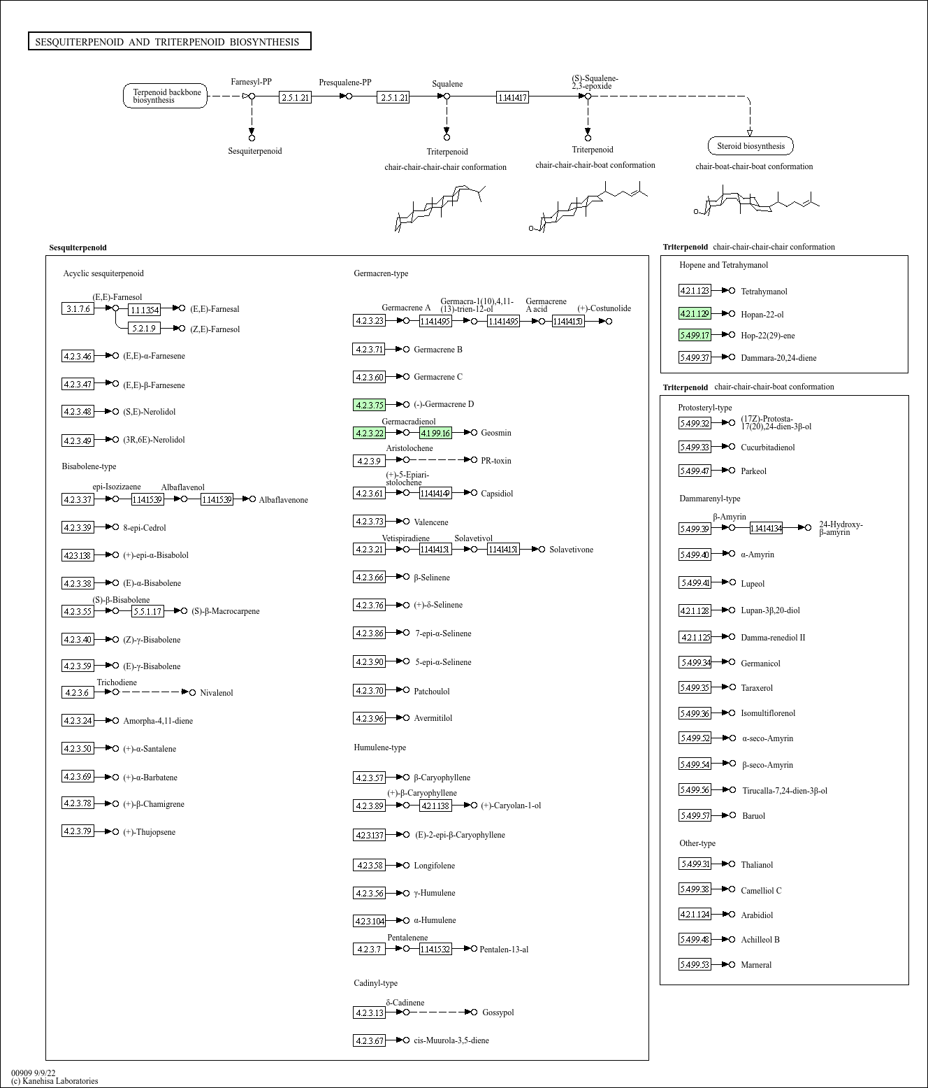 KEGG PATHWAY: Sesquiterpenoid and triterpenoid biosynthesis ...